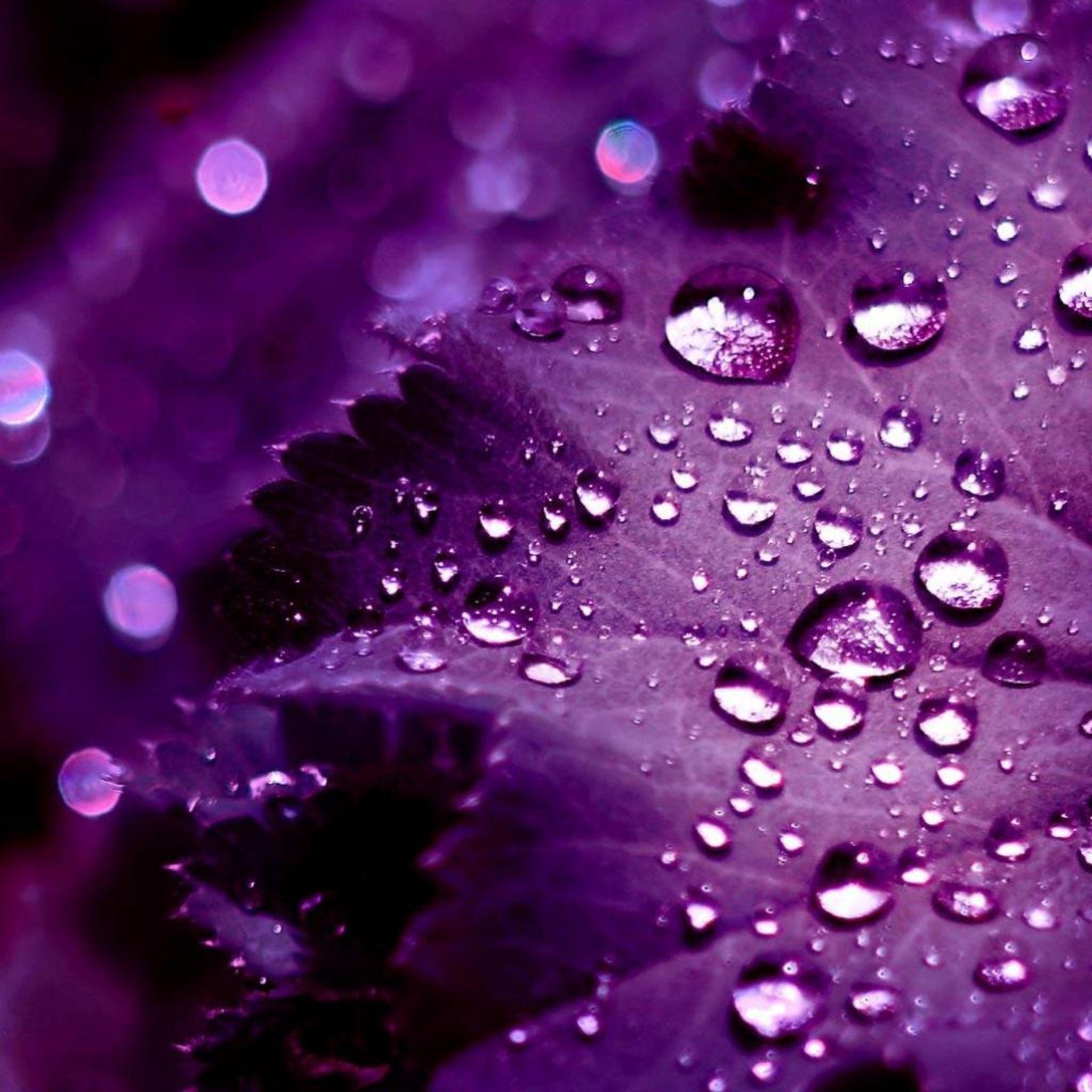 Cool Rain iPad Wallpapers - Top Free Cool Rain iPad Backgrounds ...