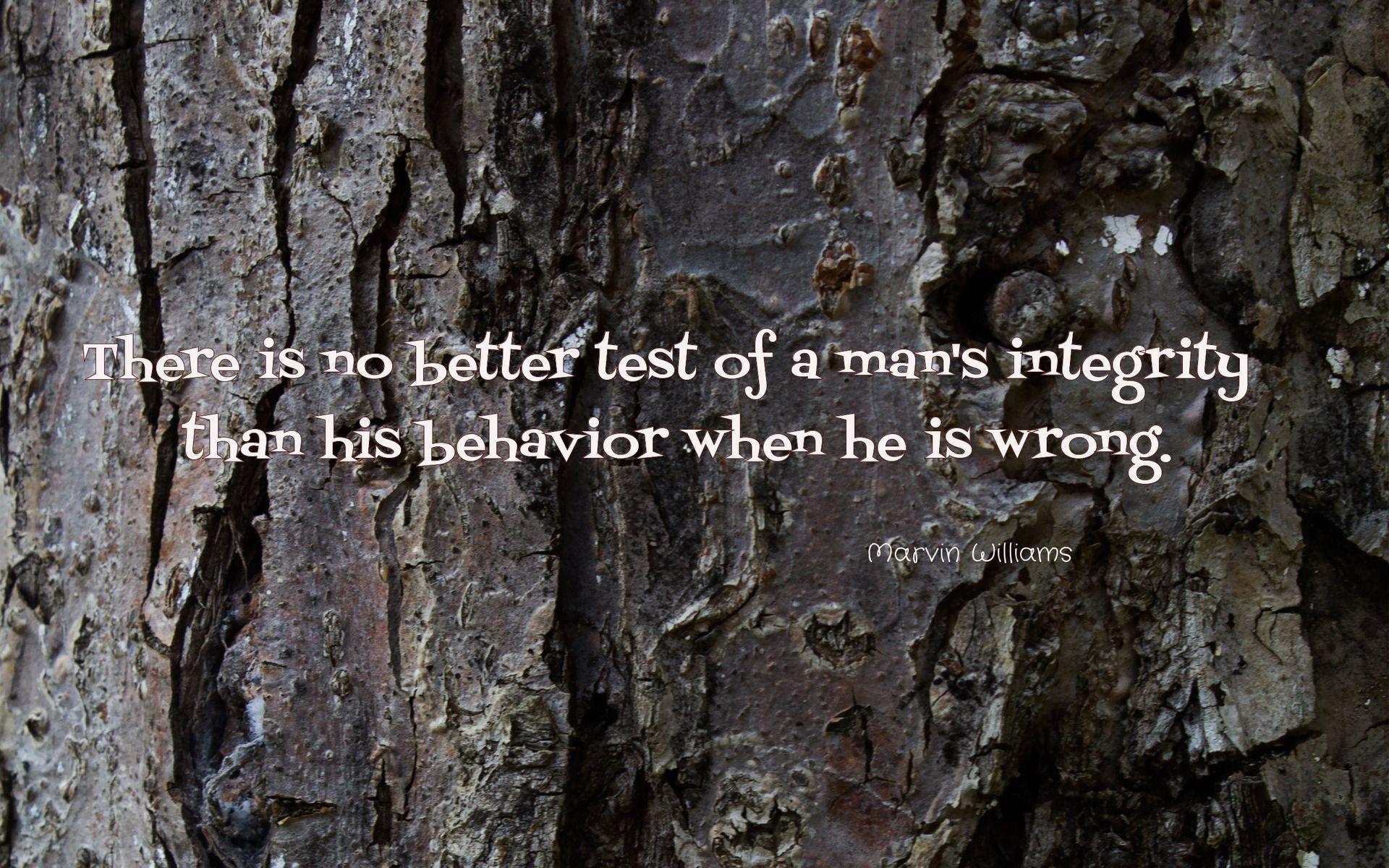 Integrity Wallpapers - Top Free Integrity Backgrounds - WallpaperAccess