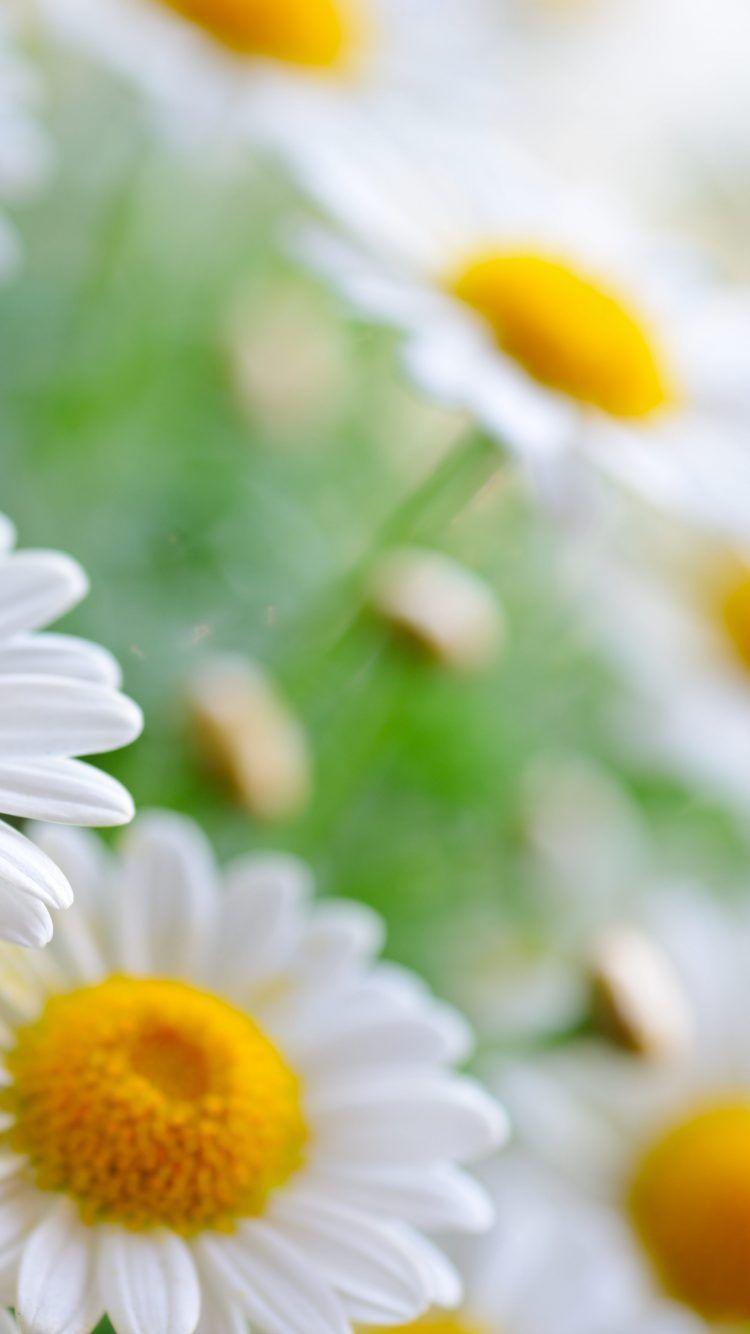 8k White Wallpapers - Top Free 8k White Backgrounds - WallpaperAccess