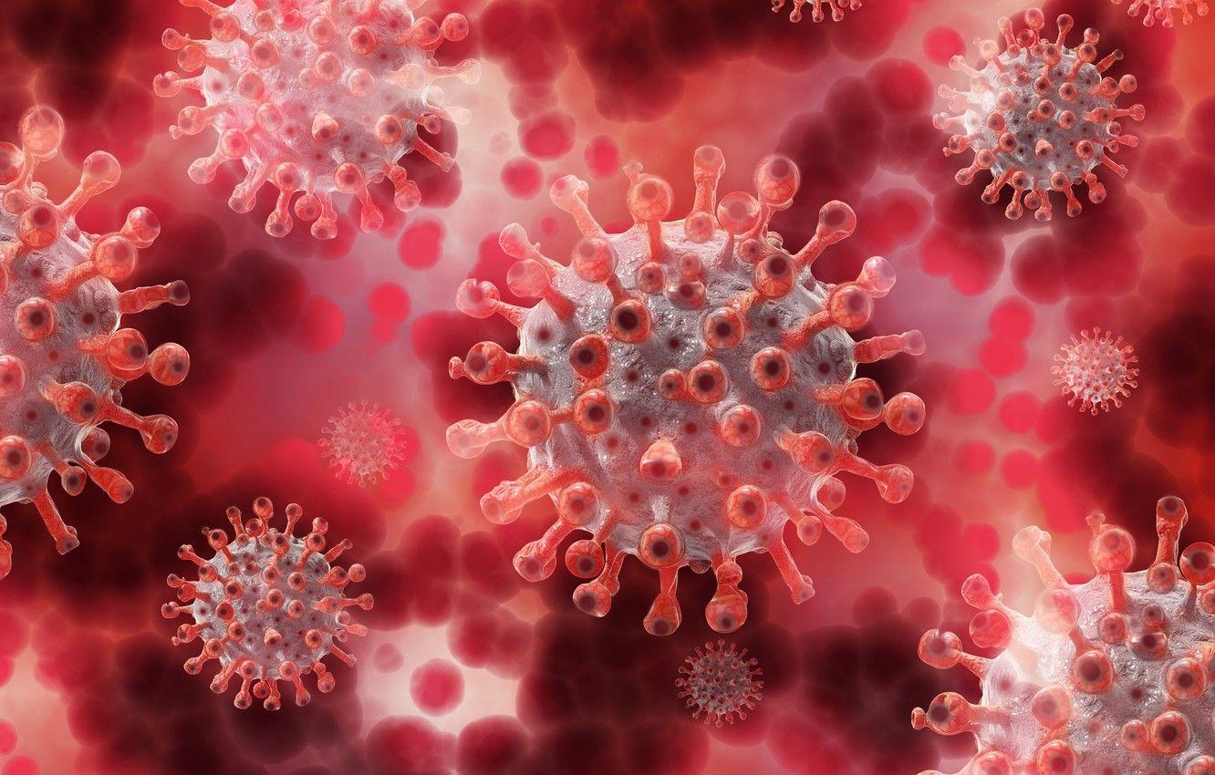 Viruses Wallpapers - Top Free Viruses Backgrounds - WallpaperAccess