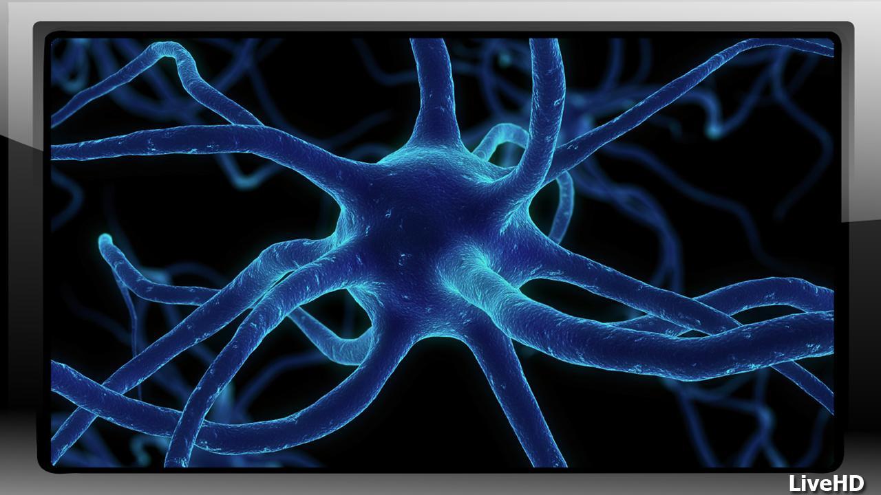 Viruses Wallpapers - Top Free Viruses Backgrounds - WallpaperAccess