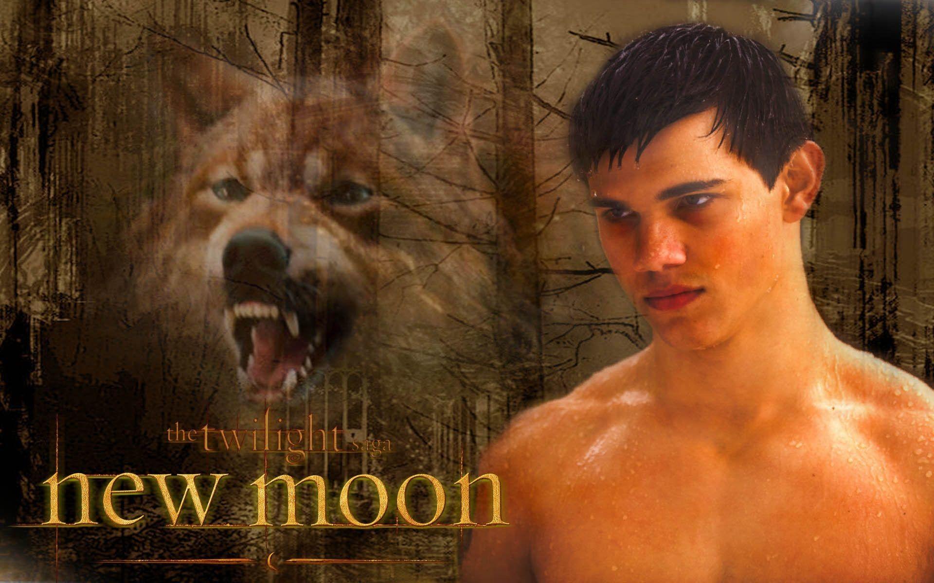 Jacob Black Wallpapers - Top Free Jacob Black Backgrounds - WallpaperAccess