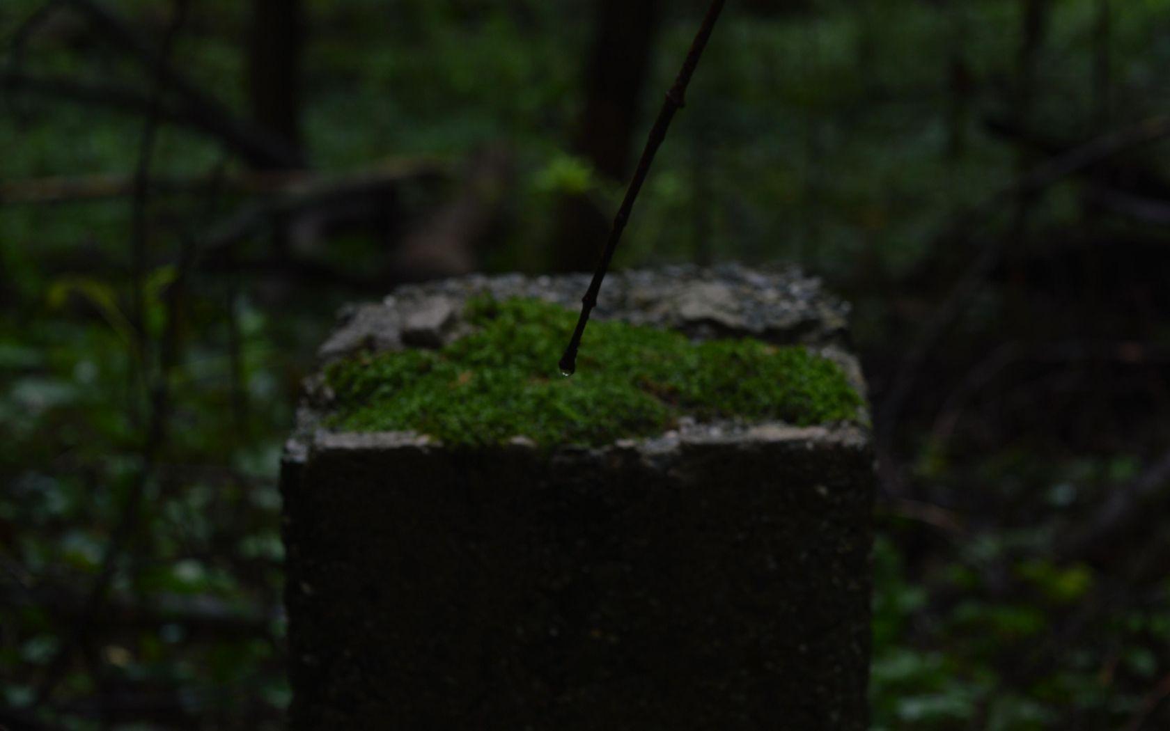 Suspense Wallpapers - Top Free Suspense Backgrounds - WallpaperAccess
