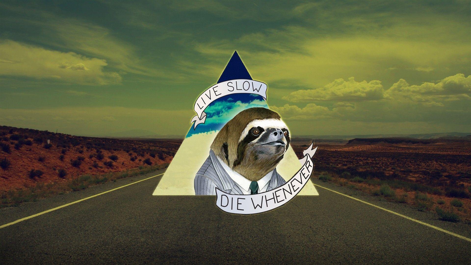 Sloth Desktop Wallpapers - Top Free Sloth Desktop Backgrounds ...