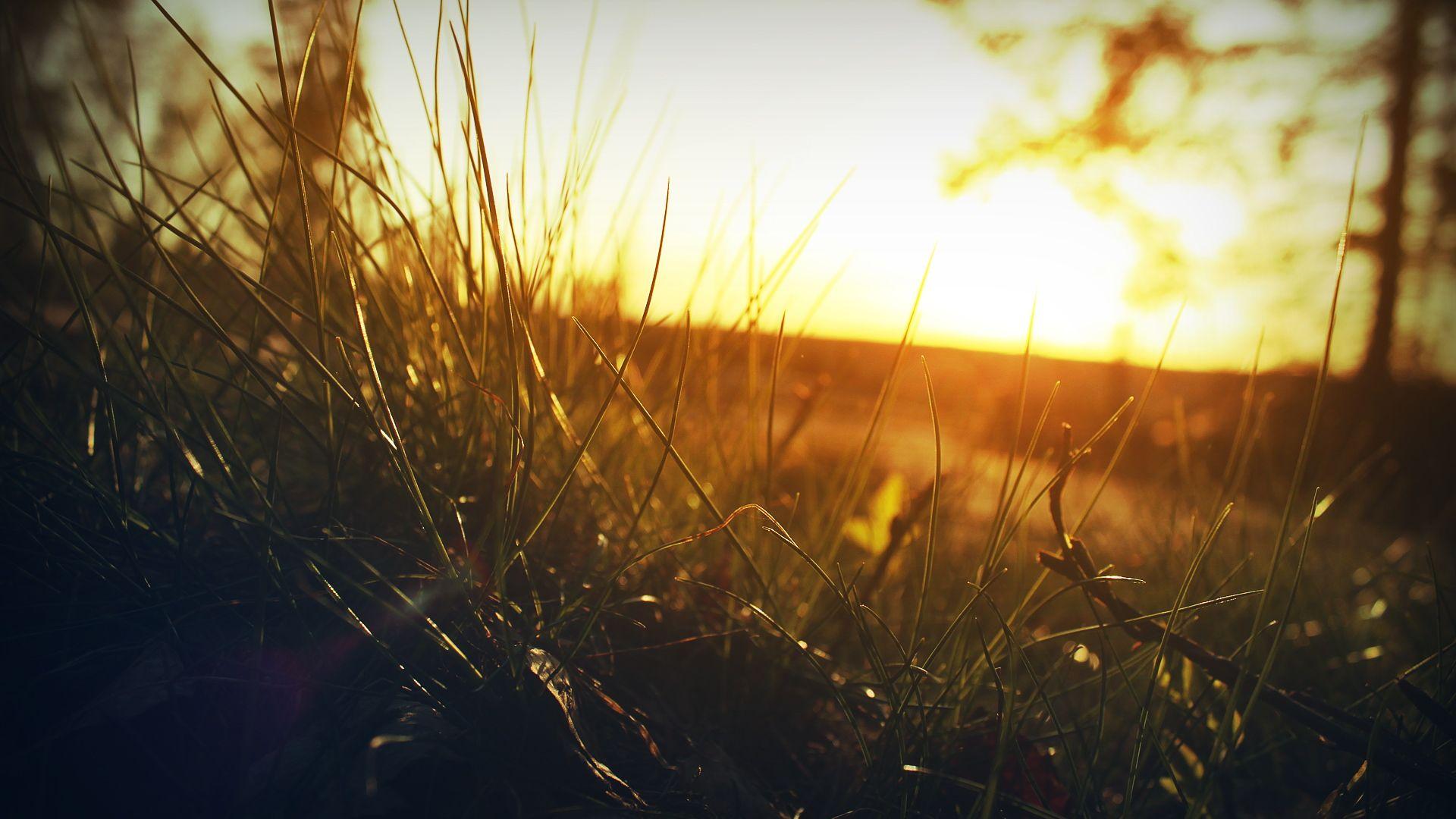 Natural Light Wallpapers - Top Free Natural Light Backgrounds ...