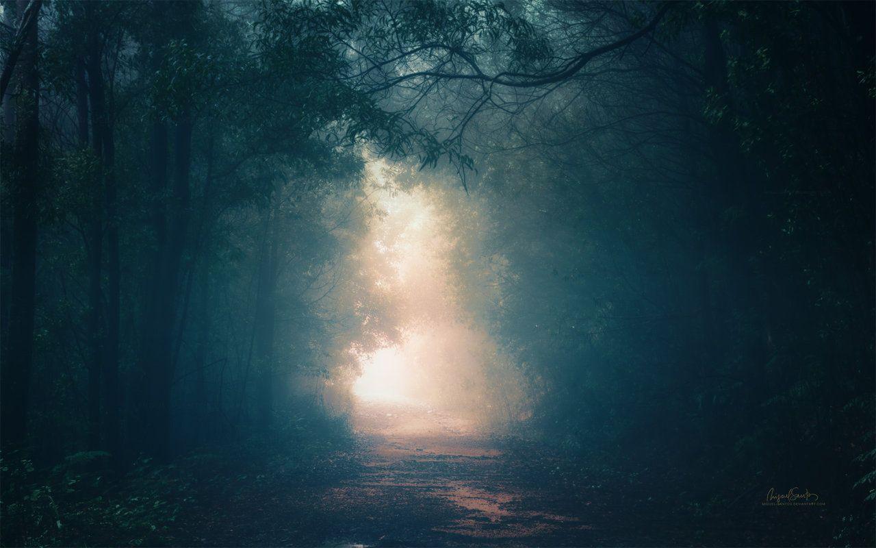 Natural Light Wallpapers - Top Free Natural Light Backgrounds ...