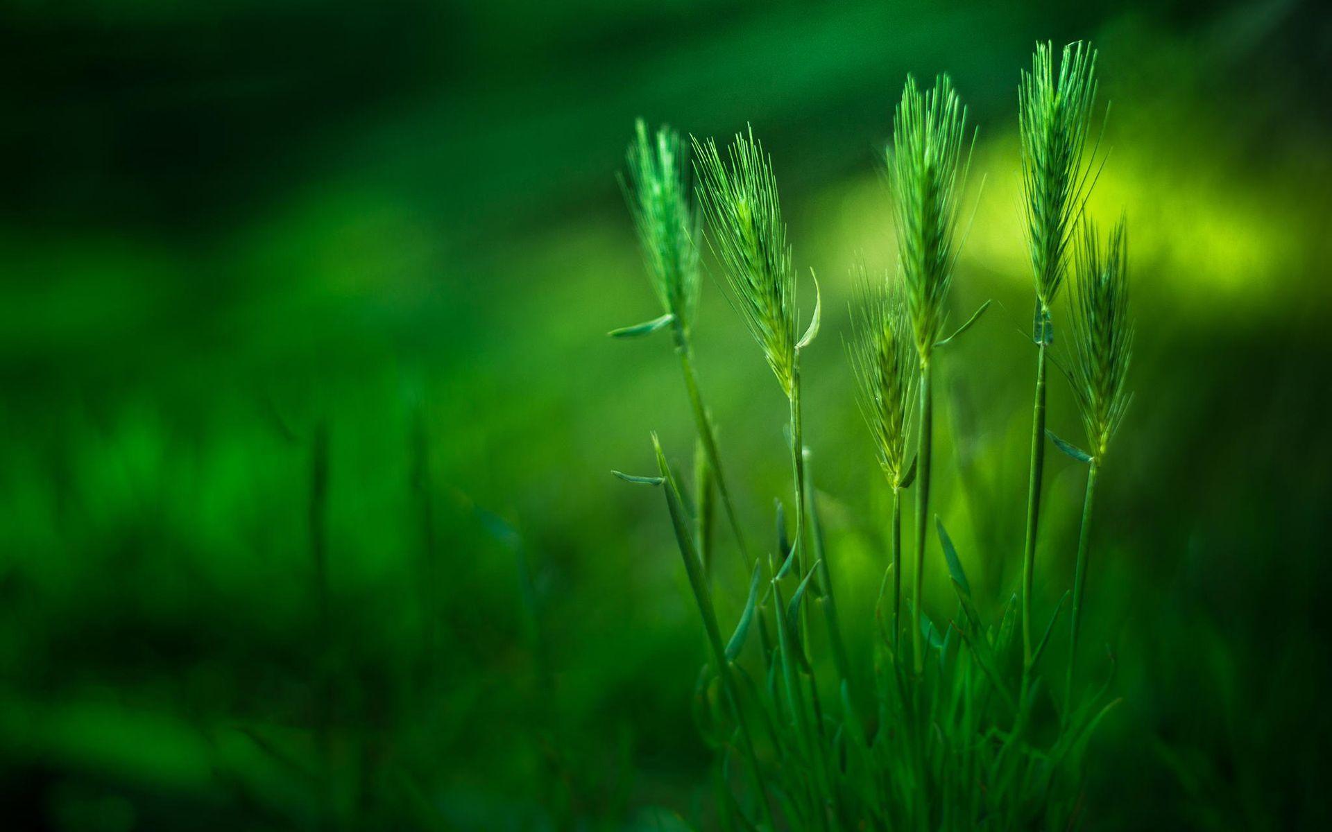 Eye Protection Wallpapers - Top Free Eye Protection Backgrounds ...