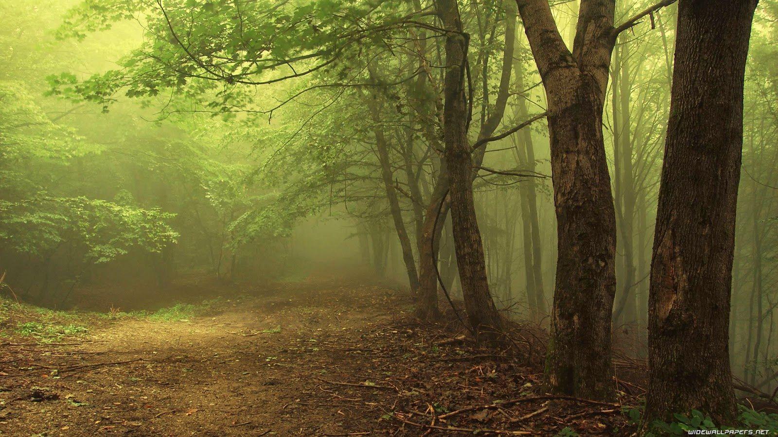 Mind Relaxing Wallpapers - Top Free Mind Relaxing Backgrounds ...