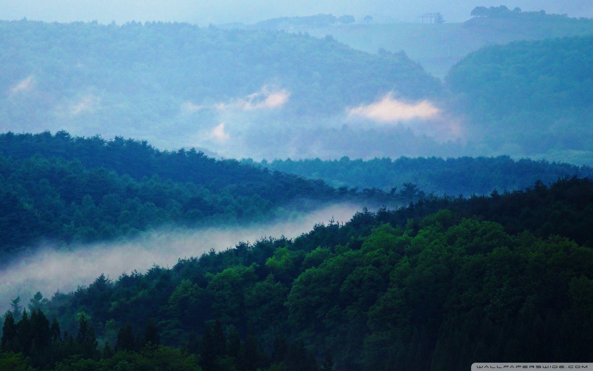 Flat Nature Wallpapers - Top Free Flat Nature Backgrounds - WallpaperAccess