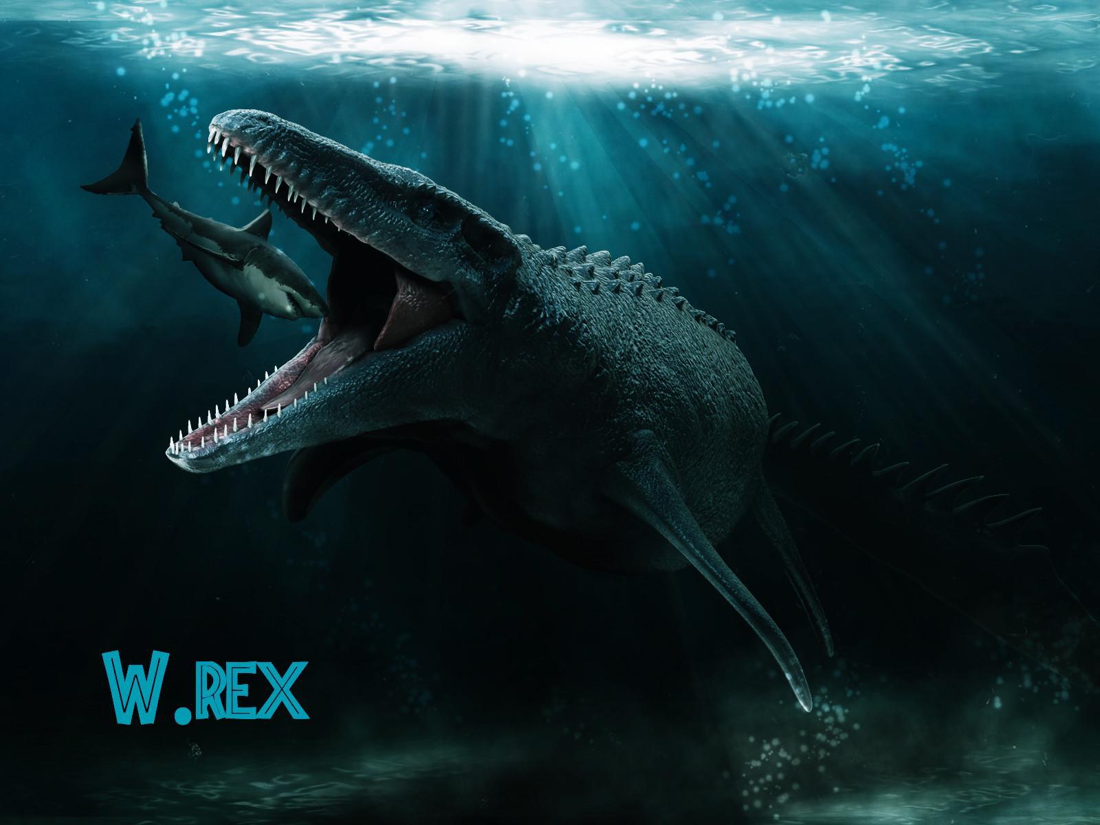 Mosasaur Wallpapers - Top Free Mosasaur Backgrounds - WallpaperAccess