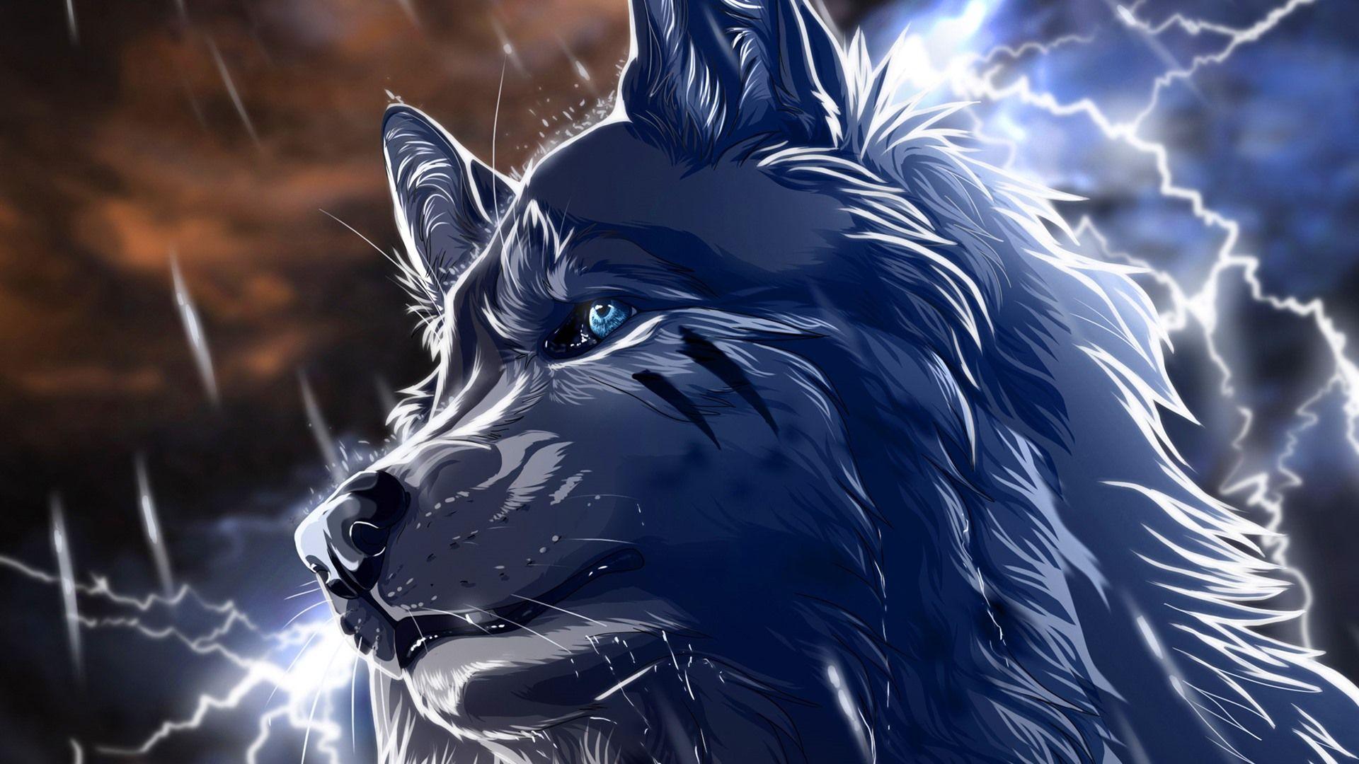Blue Wolf Eyes Wallpapers - Top Free Blue Wolf Eyes Backgrounds ...