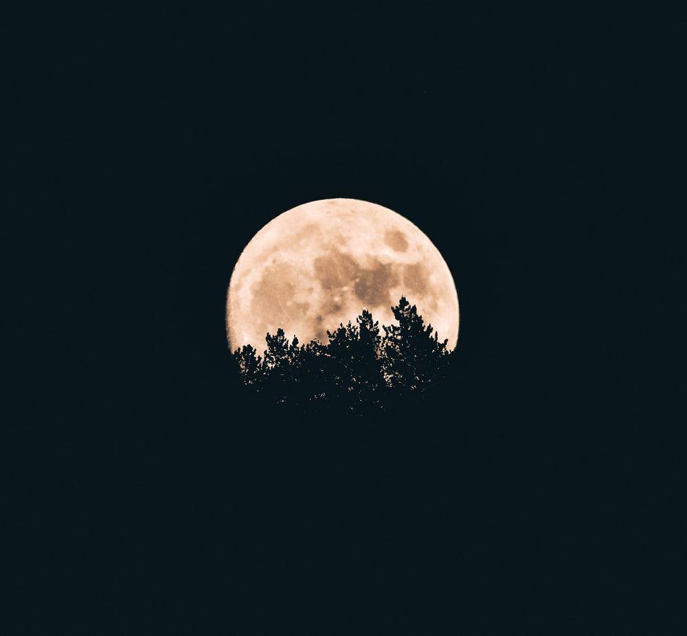 Moon Landscape Photography Wallpapers - Top Free Moon Landscape ...