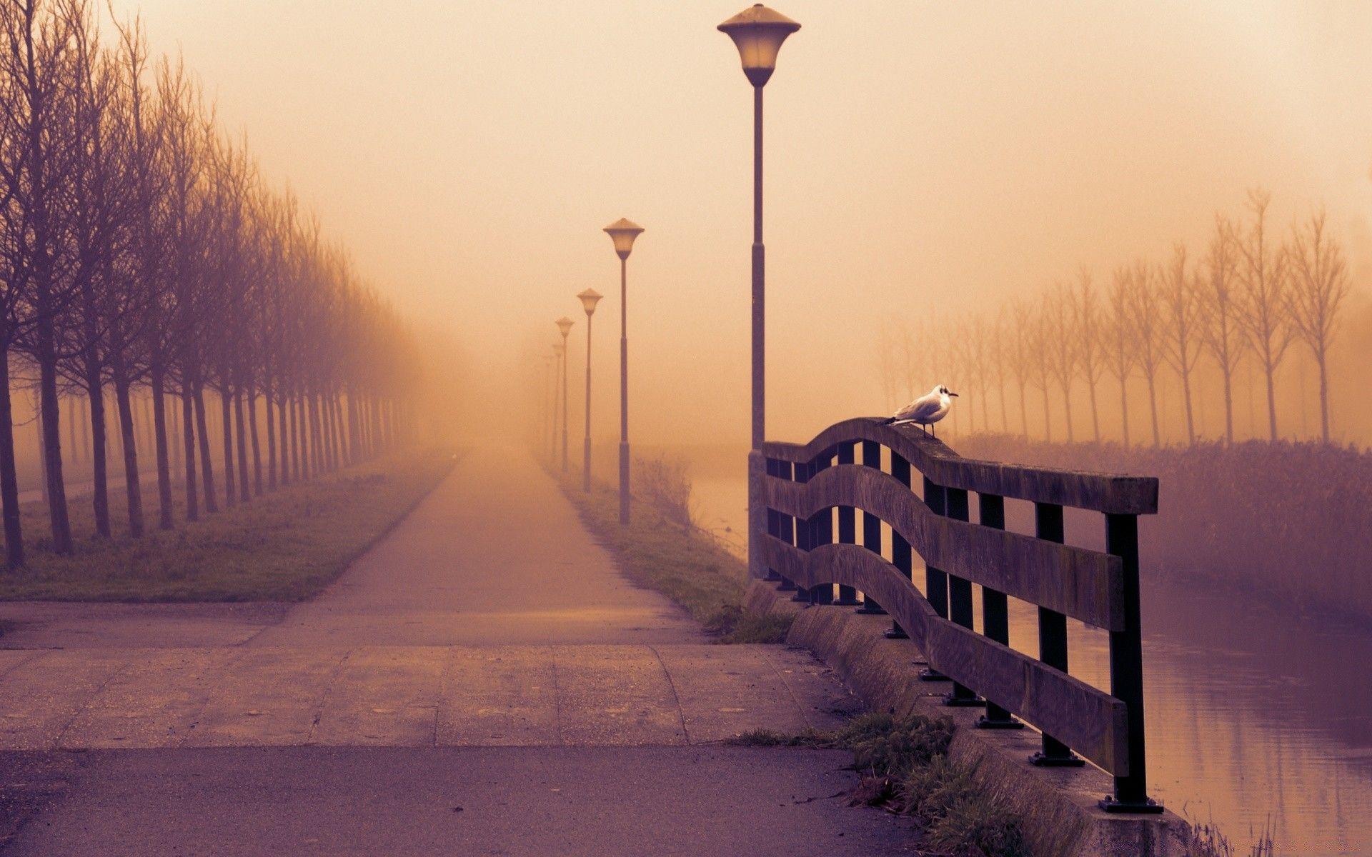 Fall Fog Wallpapers - Top Free Fall Fog Backgrounds - WallpaperAccess