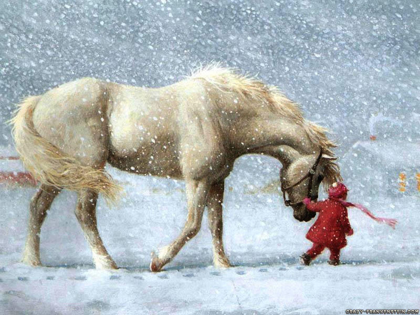 Christmas Horses Wallpapers - Top Free Christmas Horses Backgrounds ...