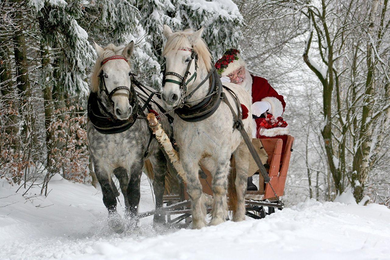 Christmas Horses Wallpapers - Top Free Christmas Horses Backgrounds ...