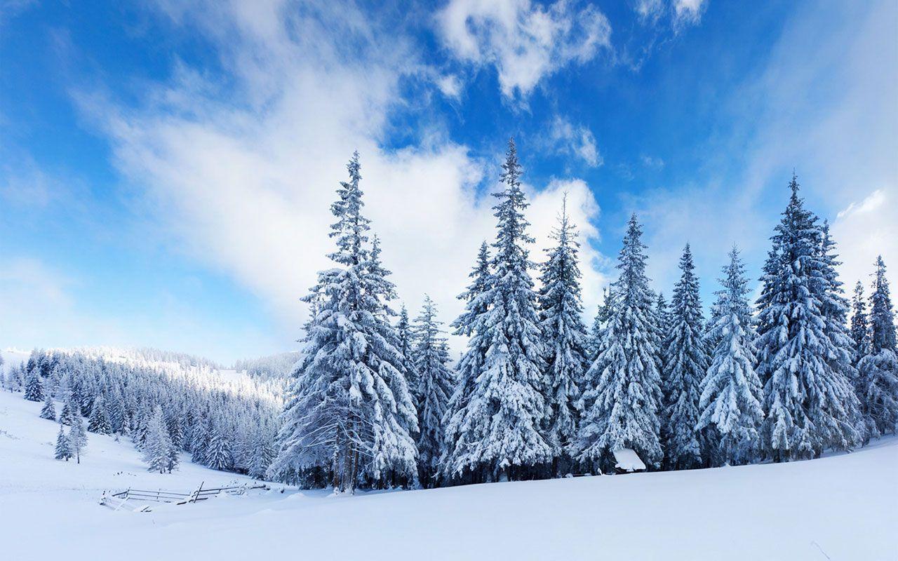 Windows Winter Wallpapers - Top Free Windows Winter Backgrounds ...