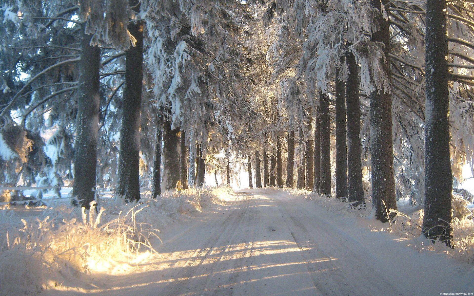 Windows Winter Wallpapers - Top Free Windows Winter Backgrounds ...