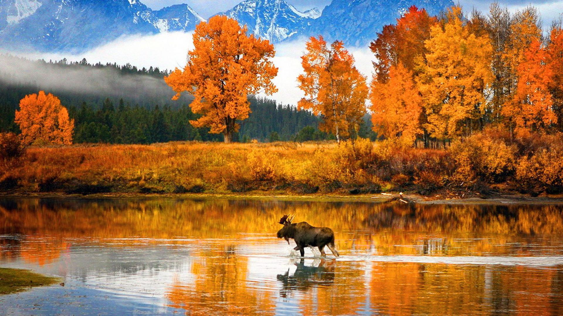 Canadian Autumn Wallpapers - Top Free Canadian Autumn Backgrounds ...