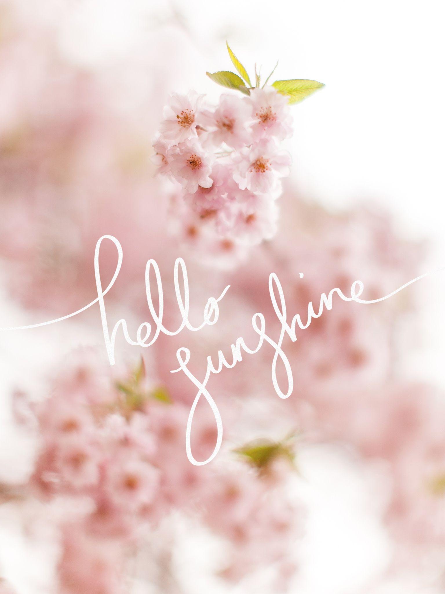 Sunshine Phone Wallpapers - Top Free Sunshine Phone Backgrounds ...