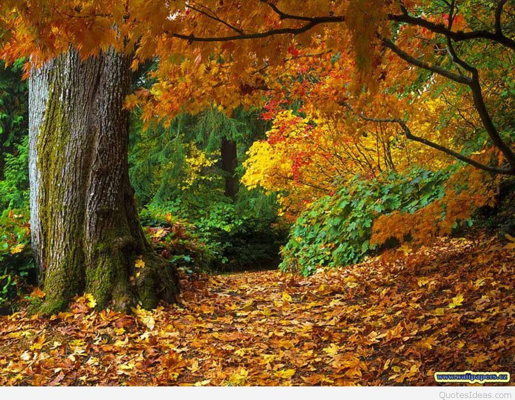 Happy Autumn Wallpapers - Top Free Happy Autumn Backgrounds ...