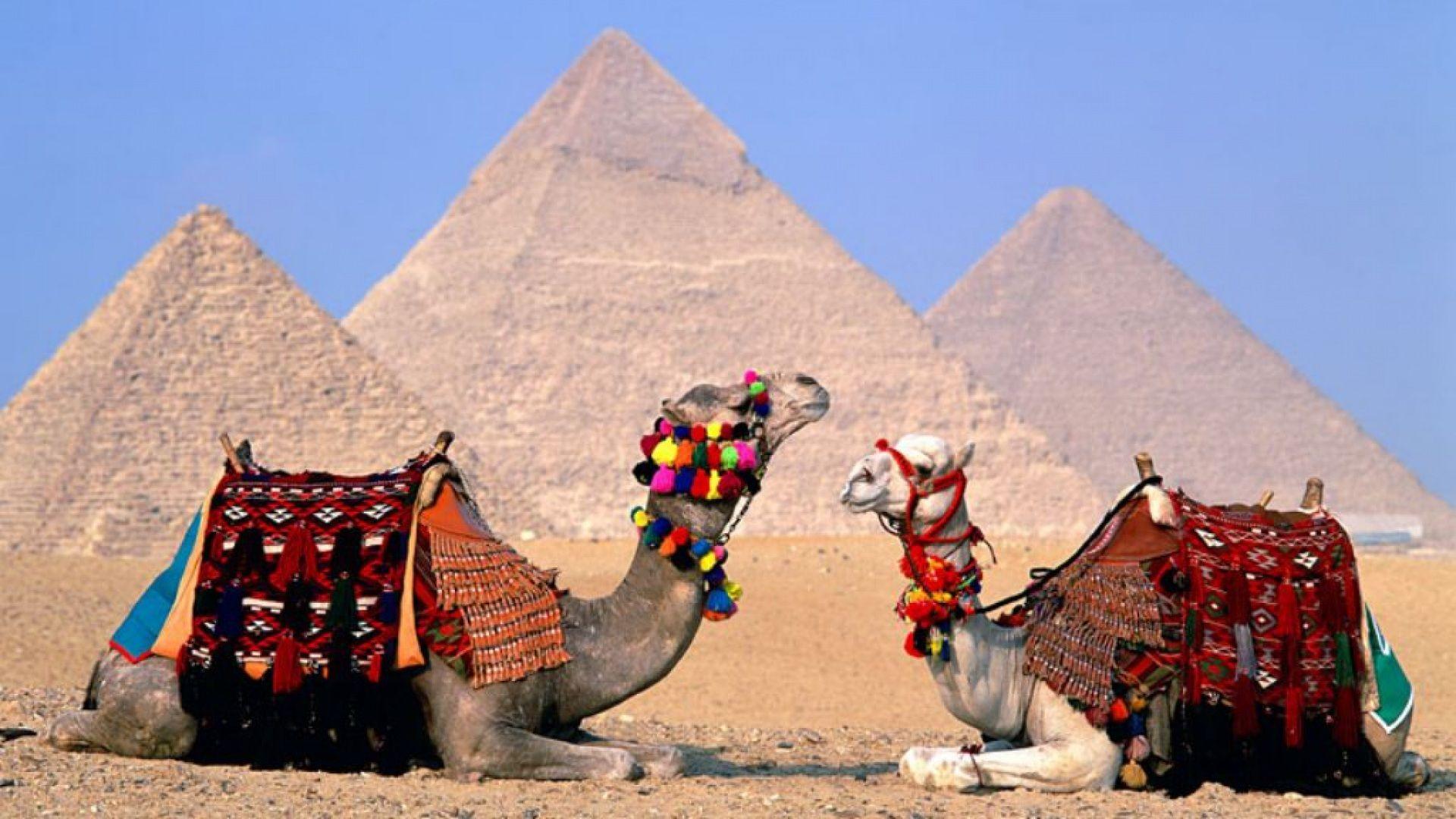 Cairo Egypt Wallpapers - Top Free Cairo Egypt Backgrounds - WallpaperAccess