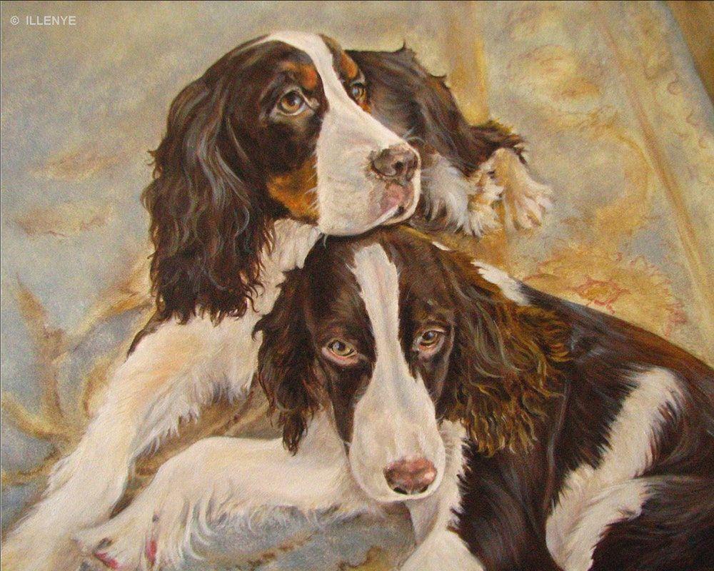English Springer Spaniel Wallpapers - Top Free English Springer Spaniel ...