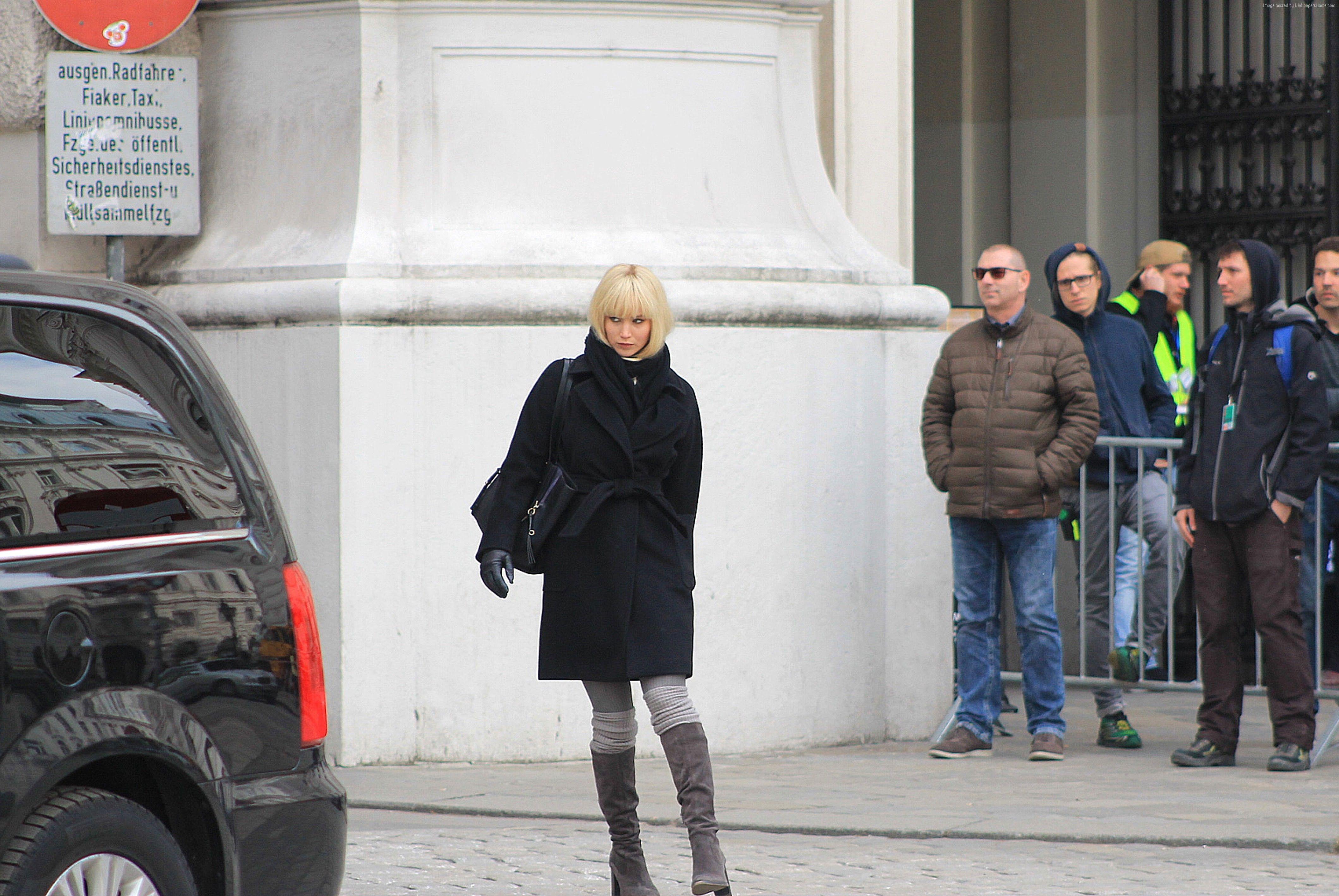 Red Sparrow Wallpapers - Top Free Red Sparrow Backgrounds - WallpaperAccess