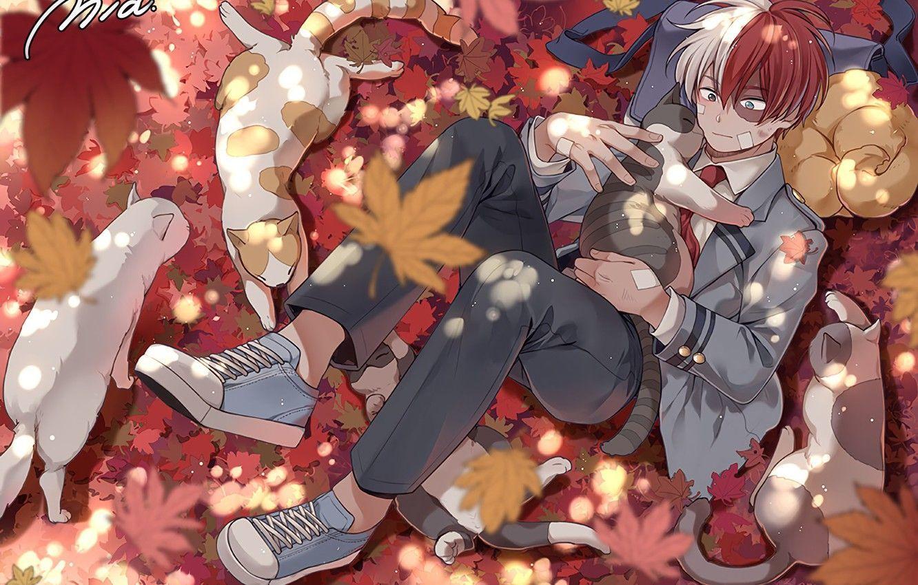 Todoroki Aesthetic Wallpapers - Top Free Todoroki Aesthetic Backgrounds ...
