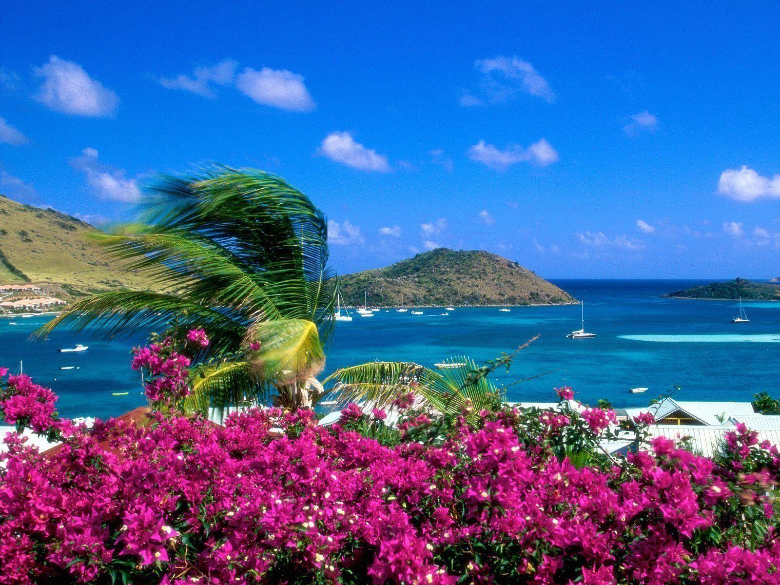 Sint Maarten Wallpapers - Top Free Sint Maarten Backgrounds ...