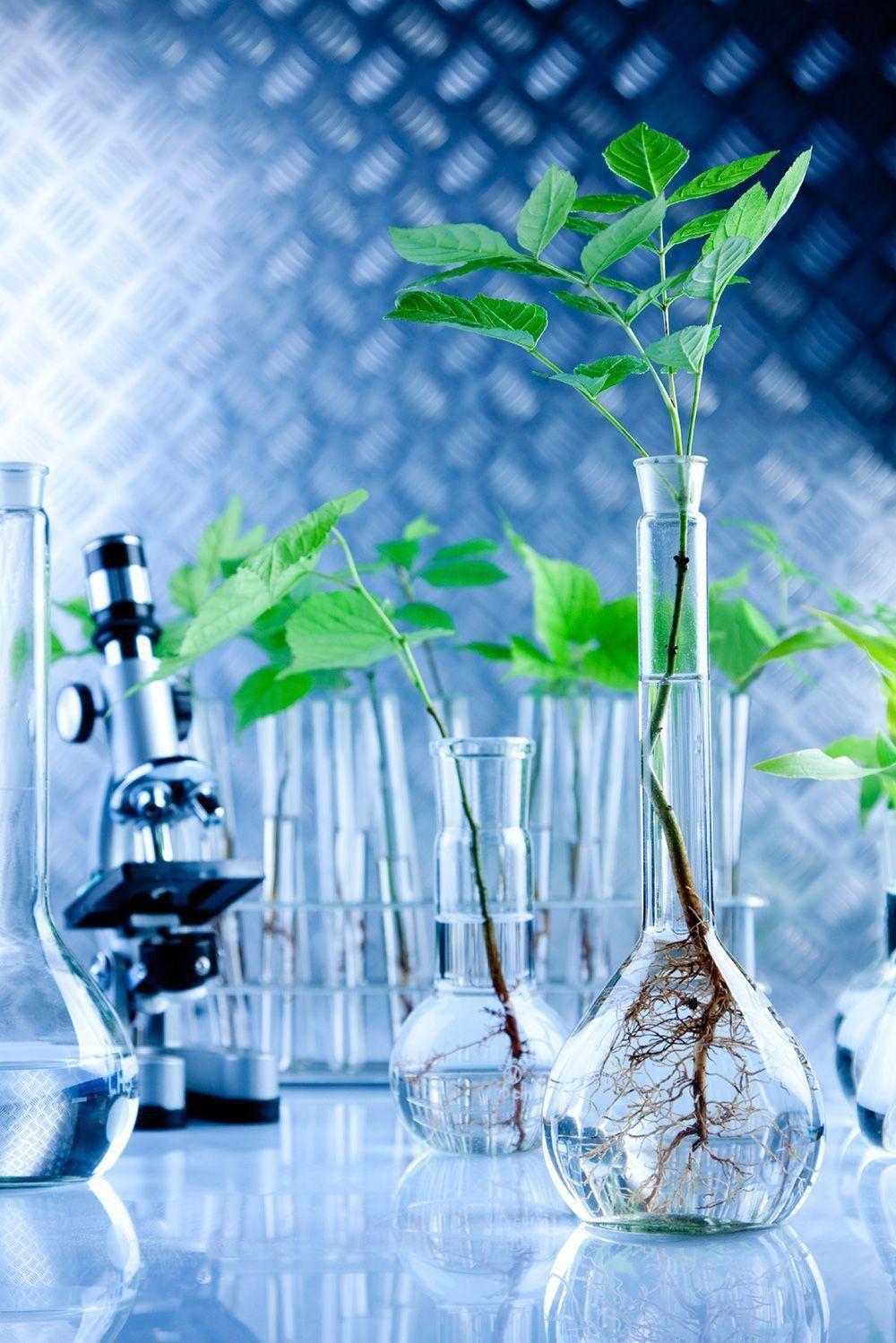 Plant Biotechnology Wallpapers - Top Free Plant Biotechnology ...