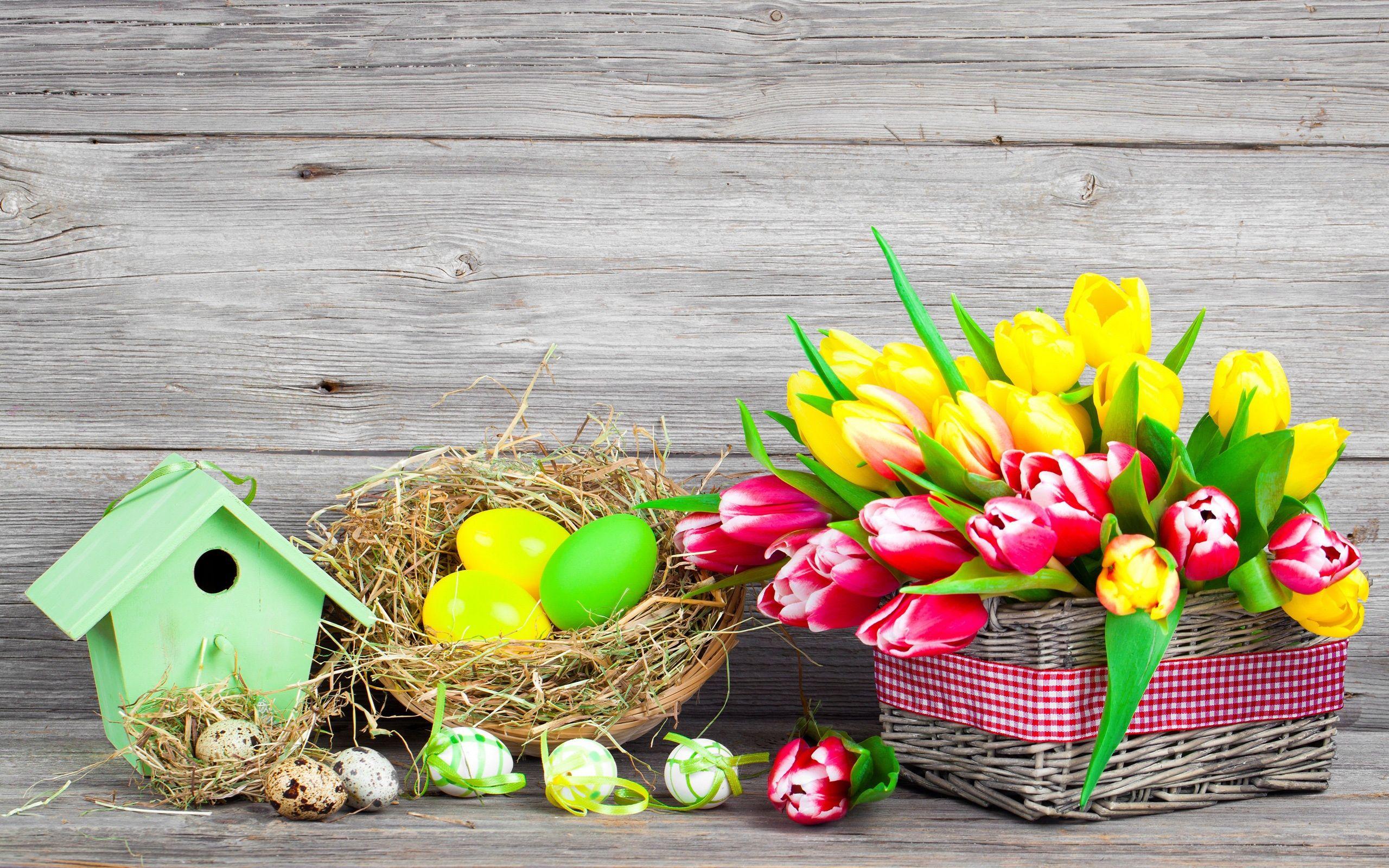 Spring Easter Wallpapers - Top Free Spring Easter Backgrounds ...