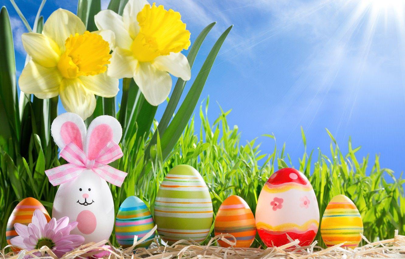 Spring Easter Wallpapers - Top Free Spring Easter Backgrounds ...