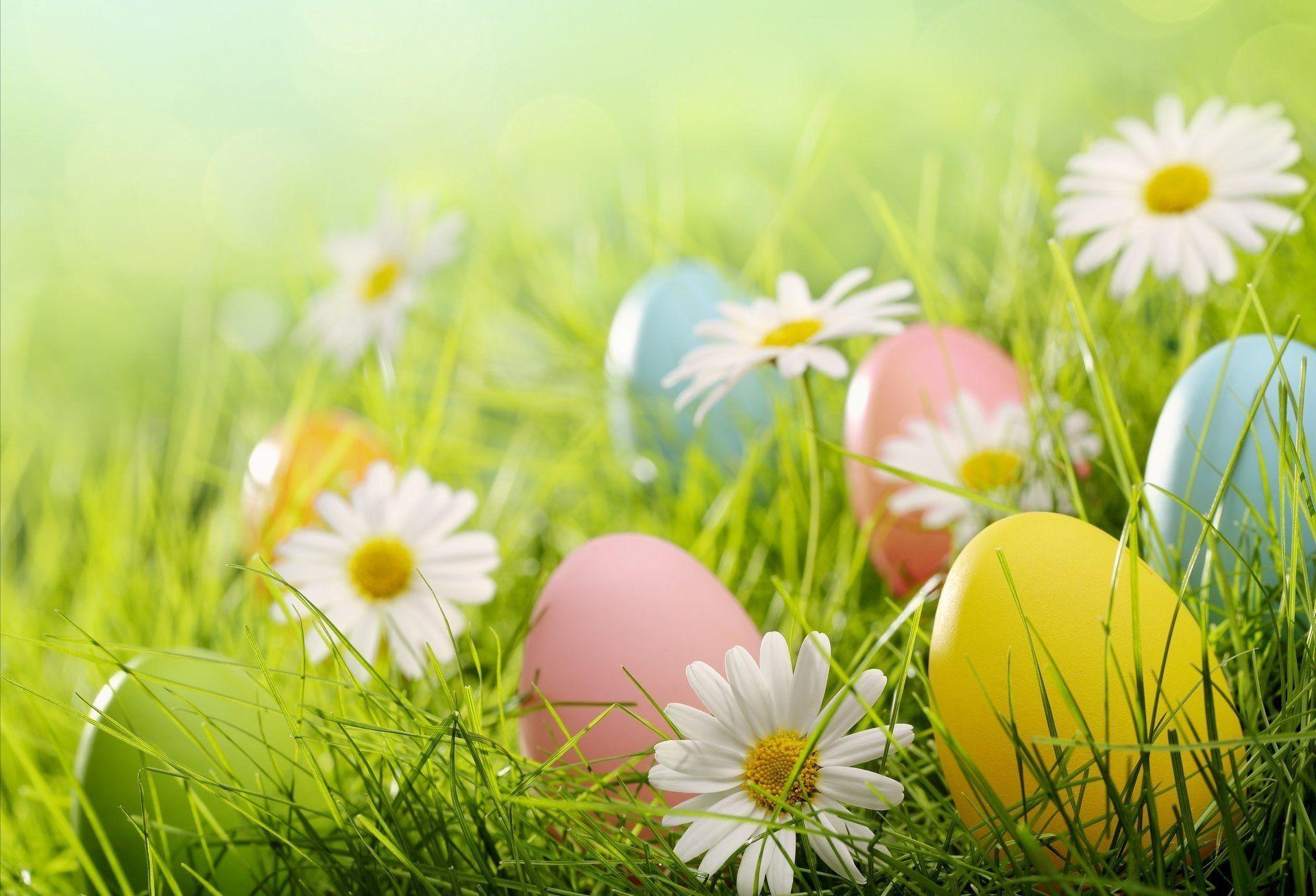 Spring Easter Wallpapers - Top Free Spring Easter Backgrounds ...