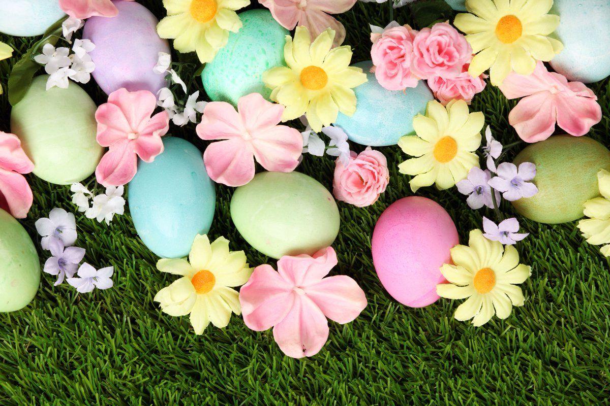Spring Easter Wallpapers - Top Free Spring Easter Backgrounds ...