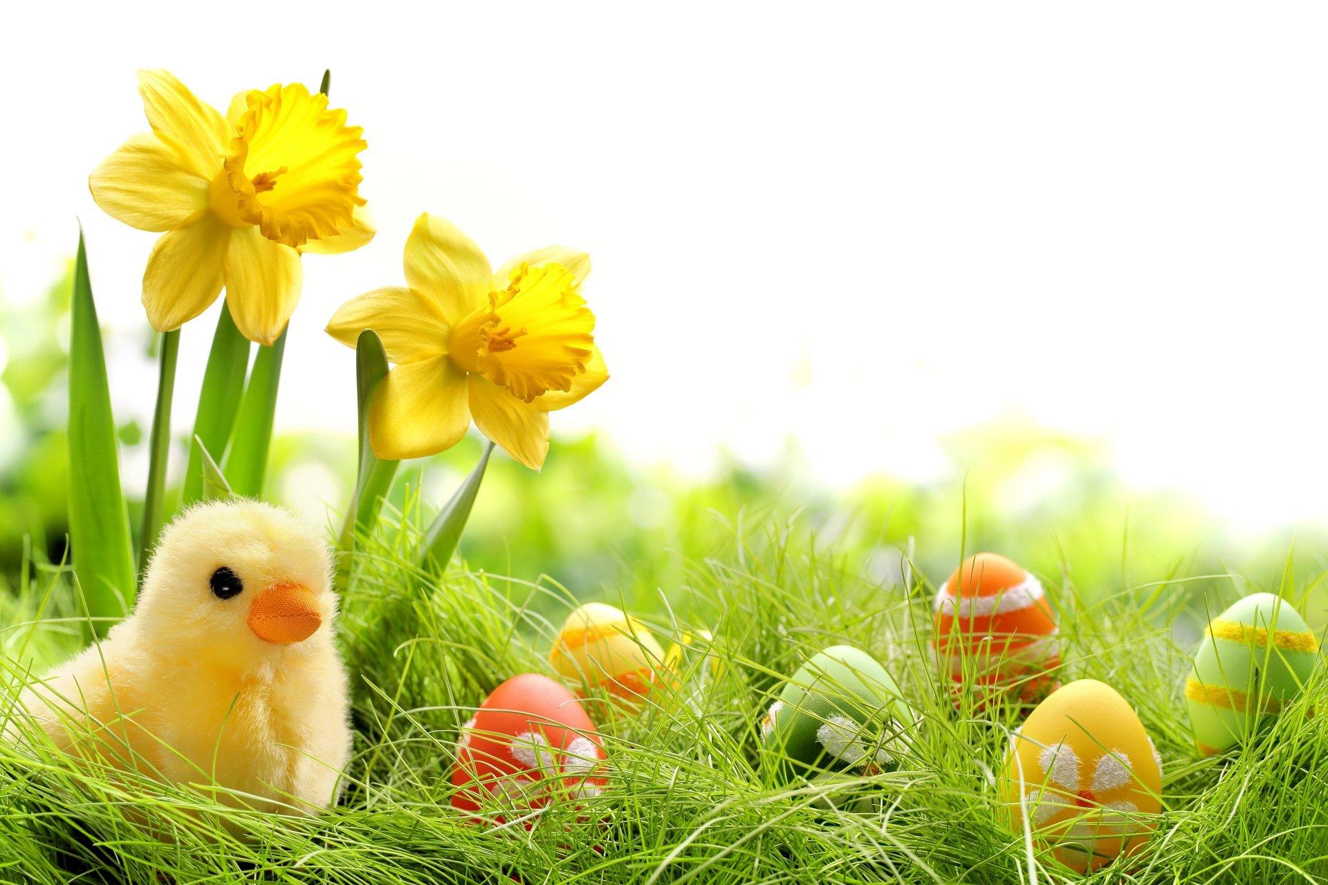 Cute Easter Spring Wallpapers - Top Free Cute Easter Spring Backgrounds ...