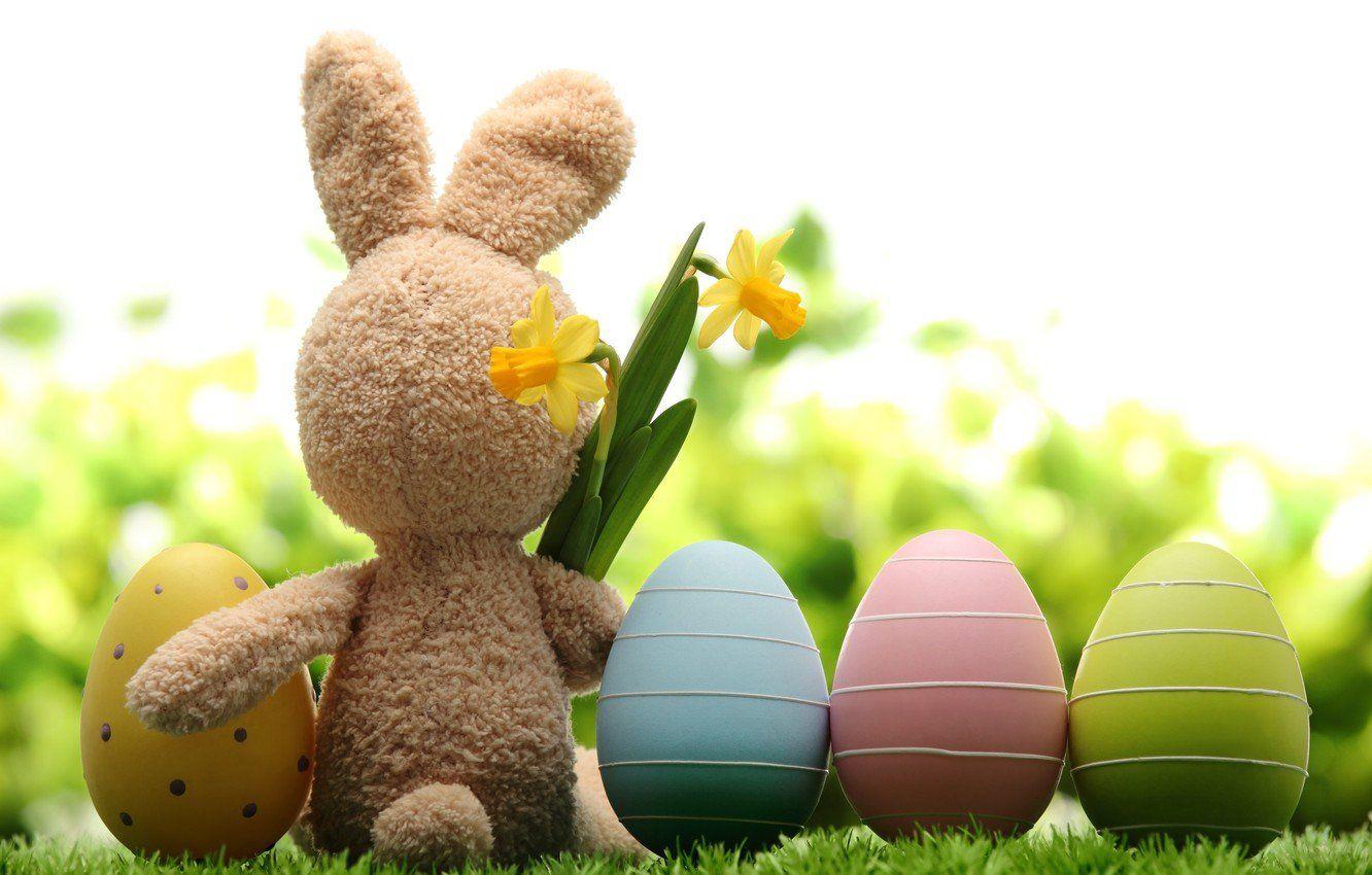 Spring Easter Wallpapers - Top Free Spring Easter Backgrounds ...