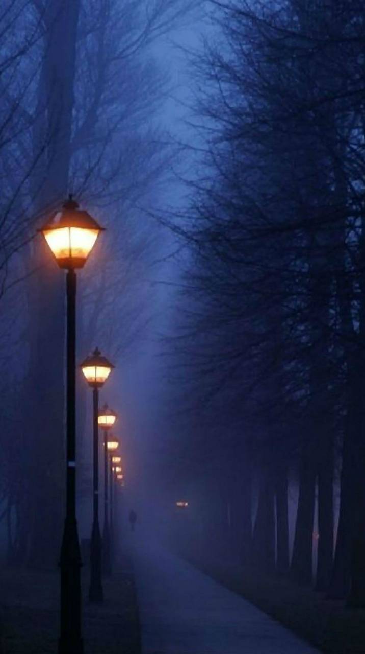 Foggy Night Wallpapers - Top Free Foggy Night Backgrounds - WallpaperAccess