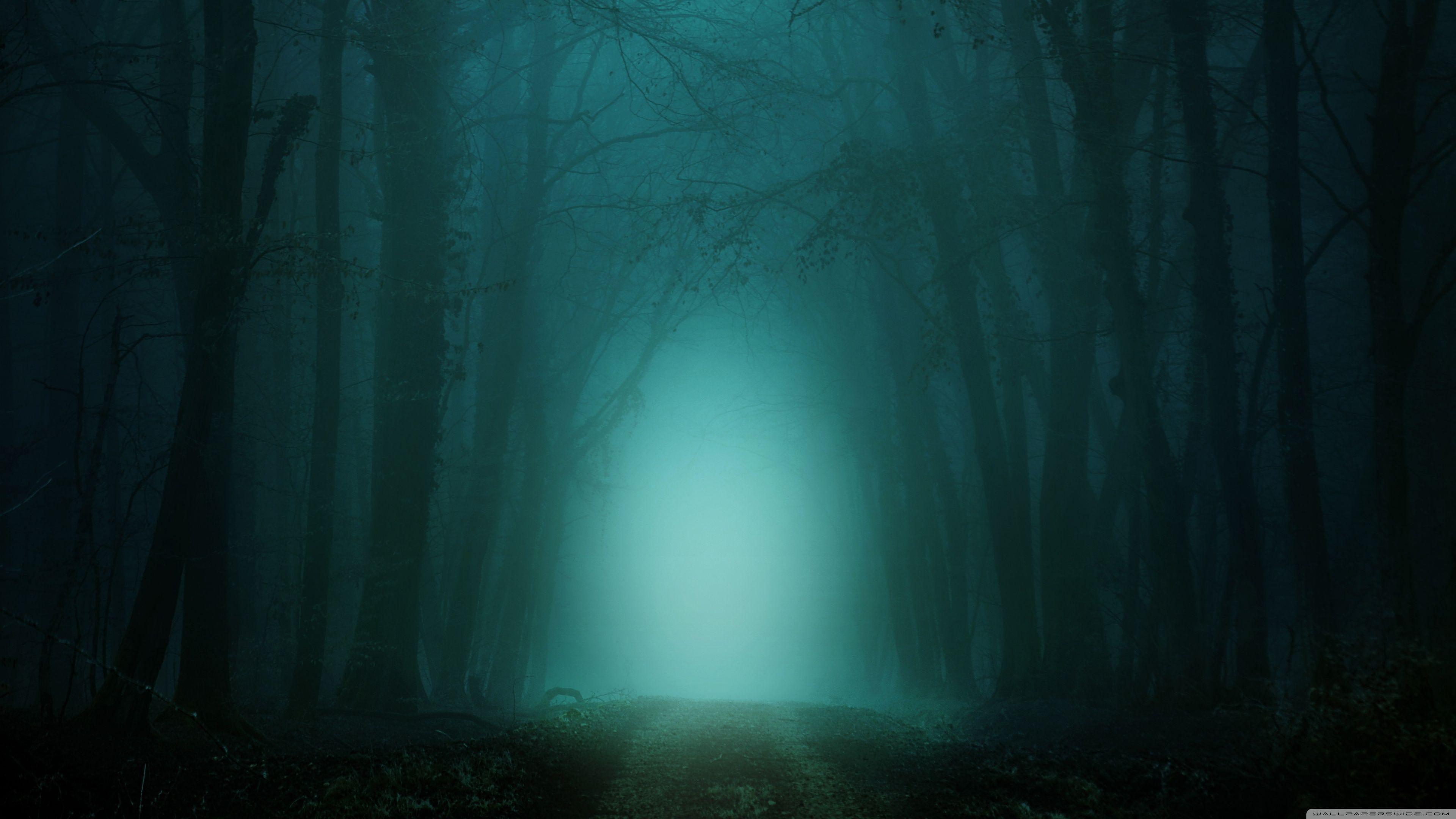 Foggy Night Wallpapers - Top Free Foggy Night Backgrounds - WallpaperAccess