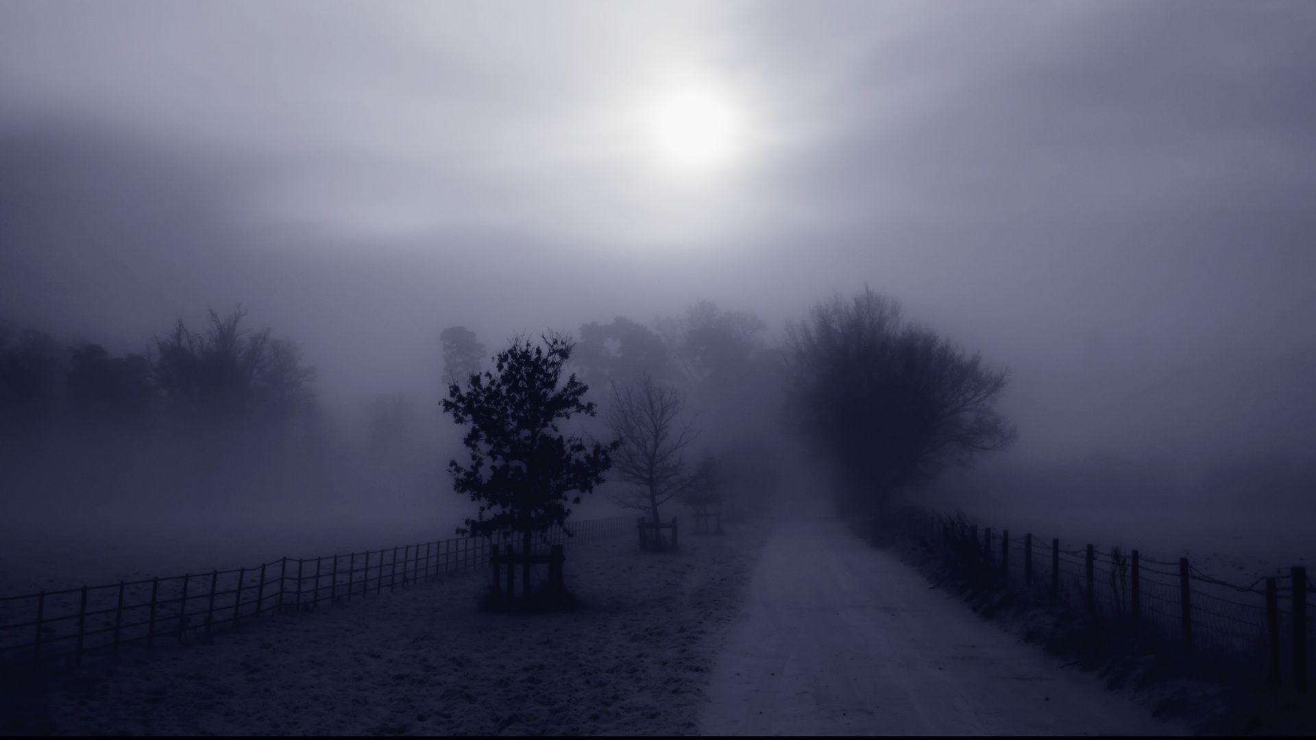 Foggy Night Wallpapers - Top Free Foggy Night Backgrounds - WallpaperAccess