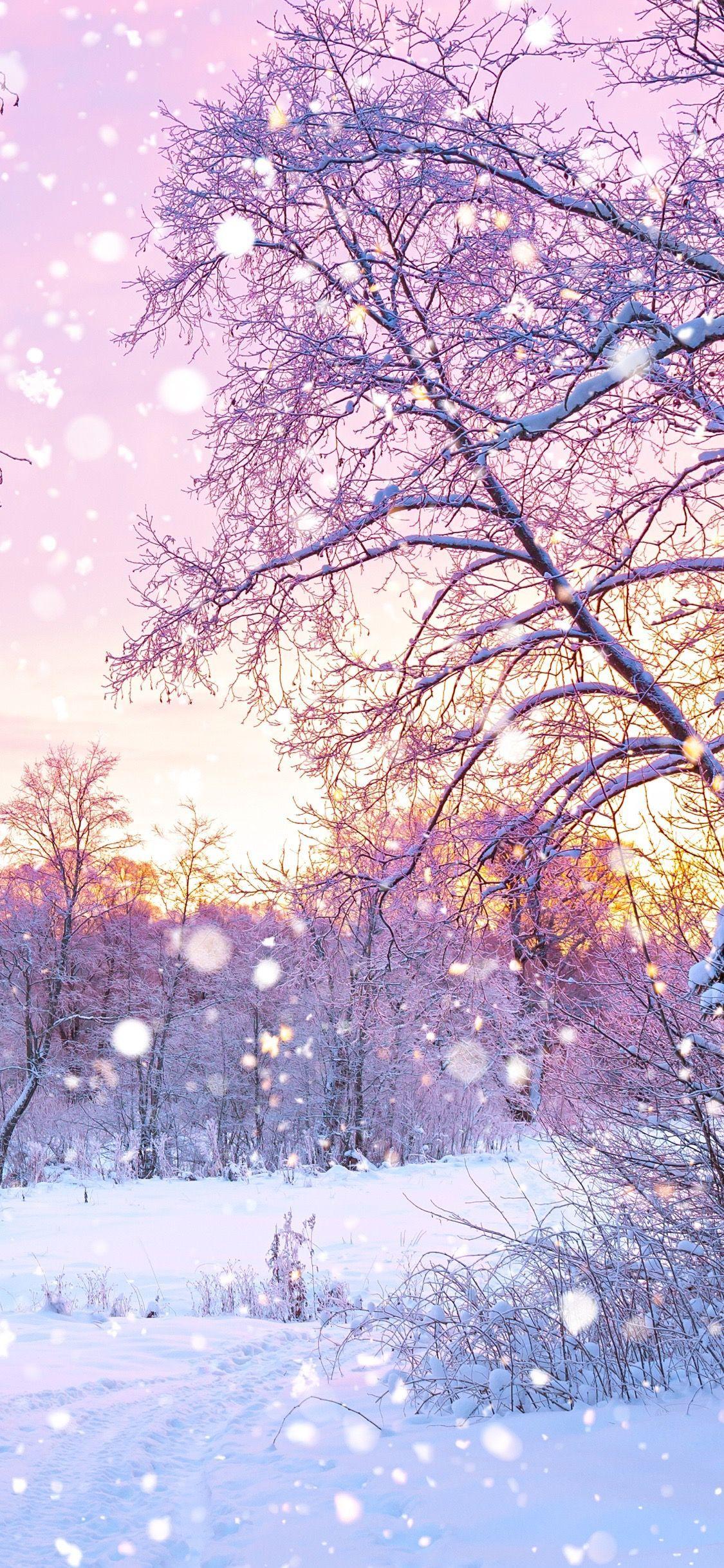 Pink Snow Wallpapers - Top Free Pink Snow Backgrounds - WallpaperAccess