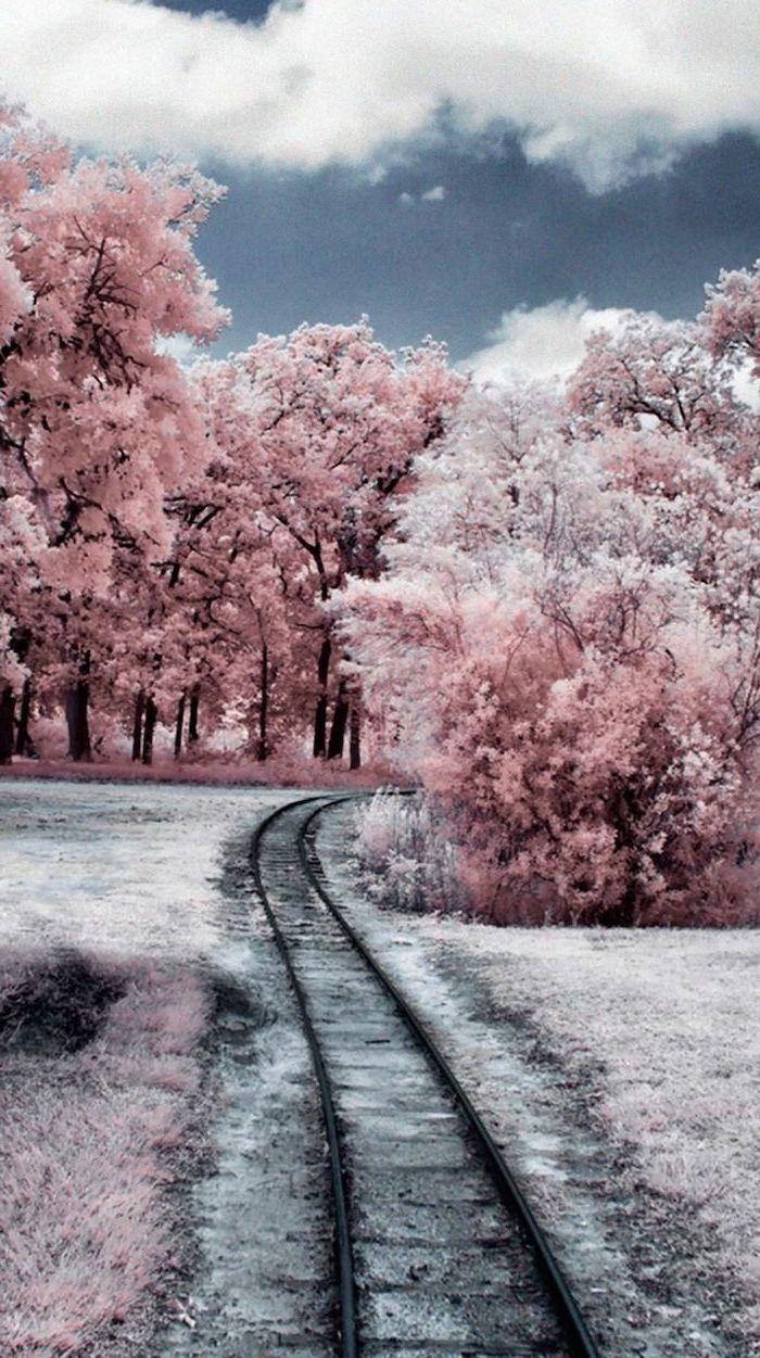 Pink Snow Wallpapers - Top Free Pink Snow Backgrounds - WallpaperAccess