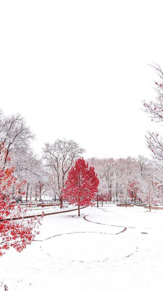 Pink Snow Wallpapers - Top Free Pink Snow Backgrounds - WallpaperAccess