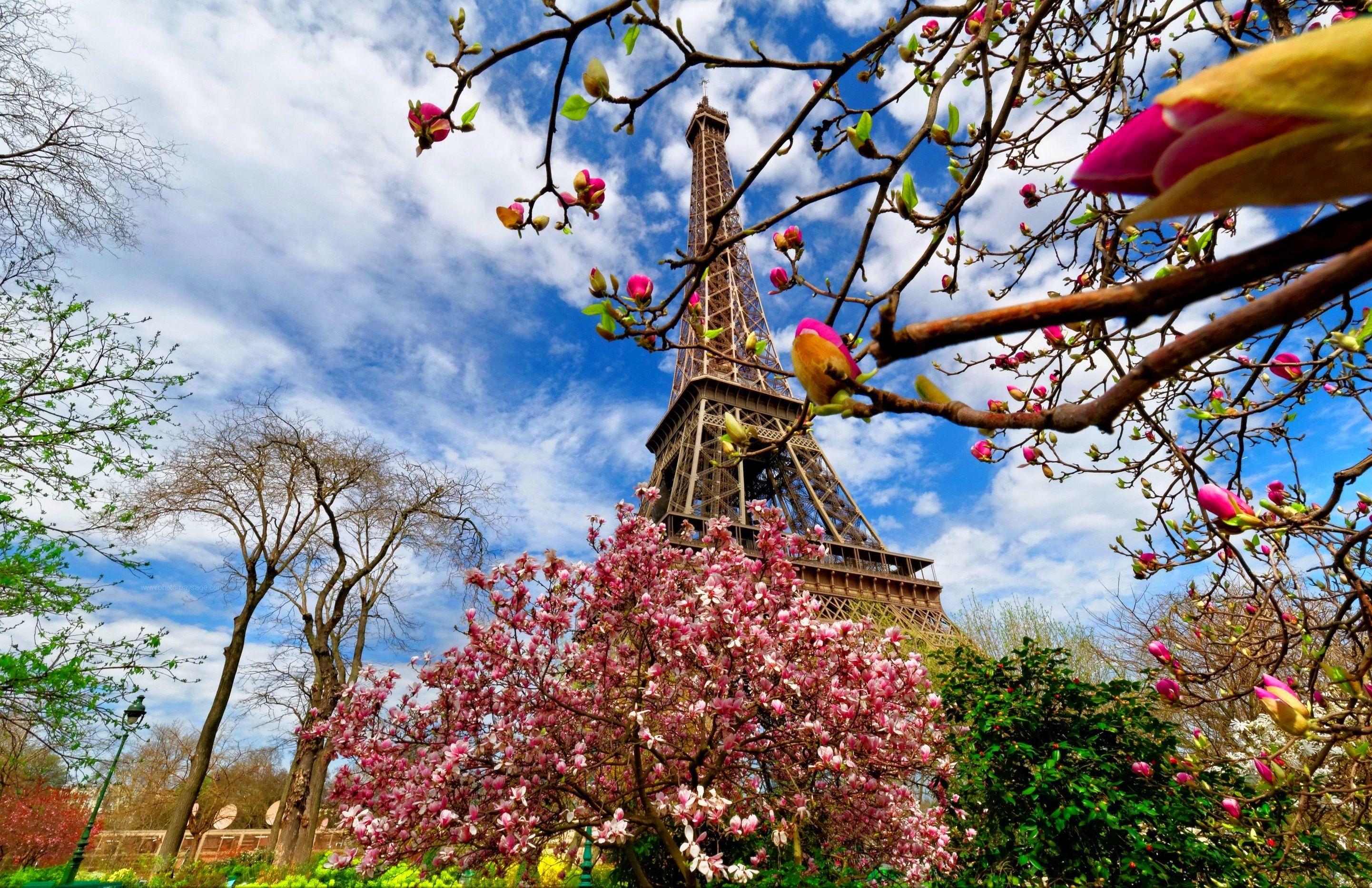 Paris in Spring Wallpapers - Top Free Paris in Spring Backgrounds ...