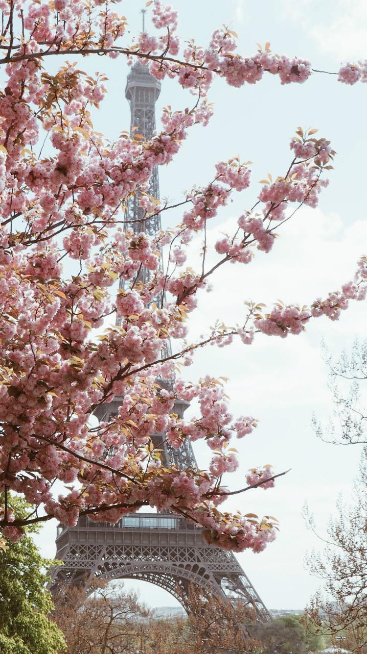 Paris in Spring Wallpapers - Top Free Paris in Spring Backgrounds ...