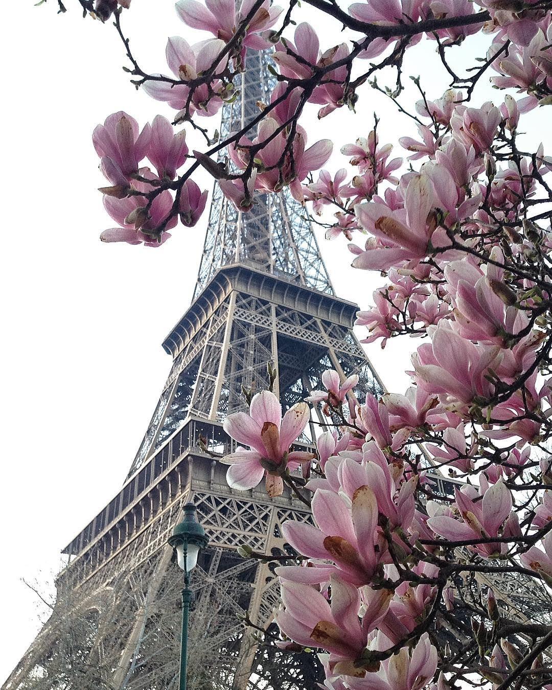 Paris in Spring Wallpapers - Top Free Paris in Spring Backgrounds ...