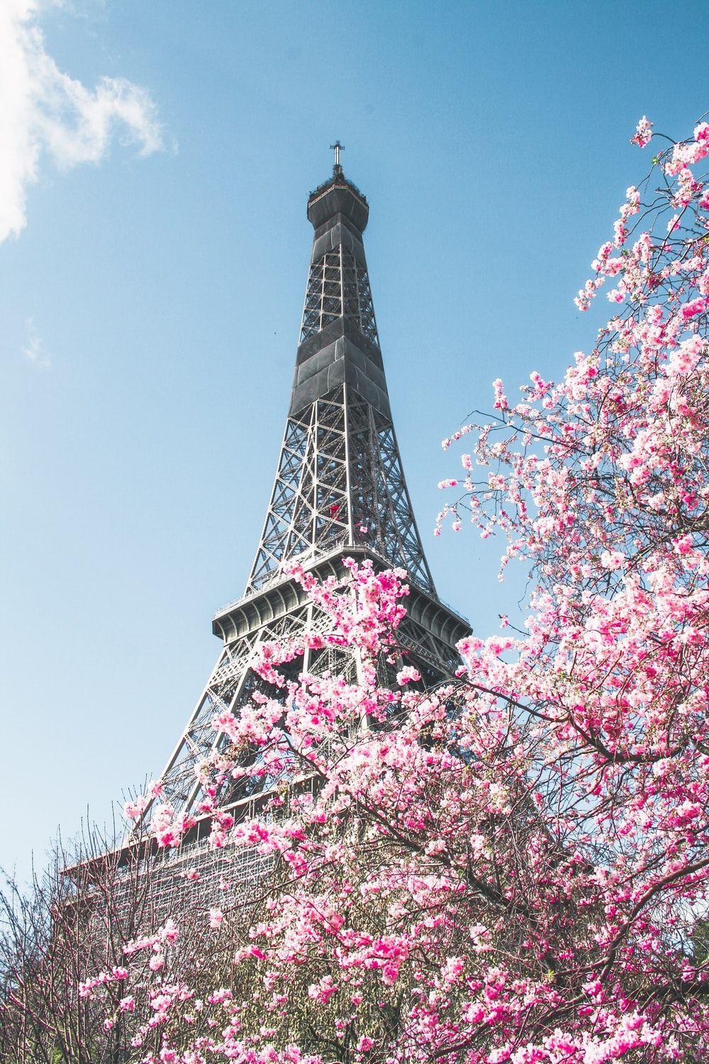 Paris in Spring Wallpapers - Top Free Paris in Spring Backgrounds ...