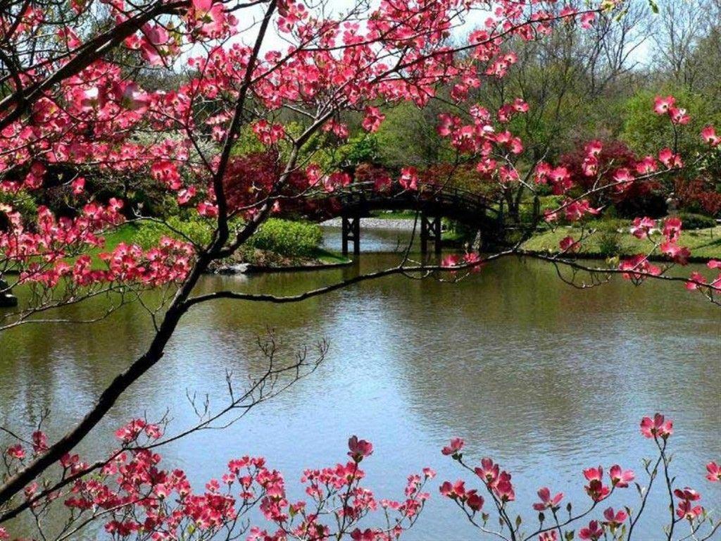 Paris in Spring Wallpapers - Top Free Paris in Spring Backgrounds ...