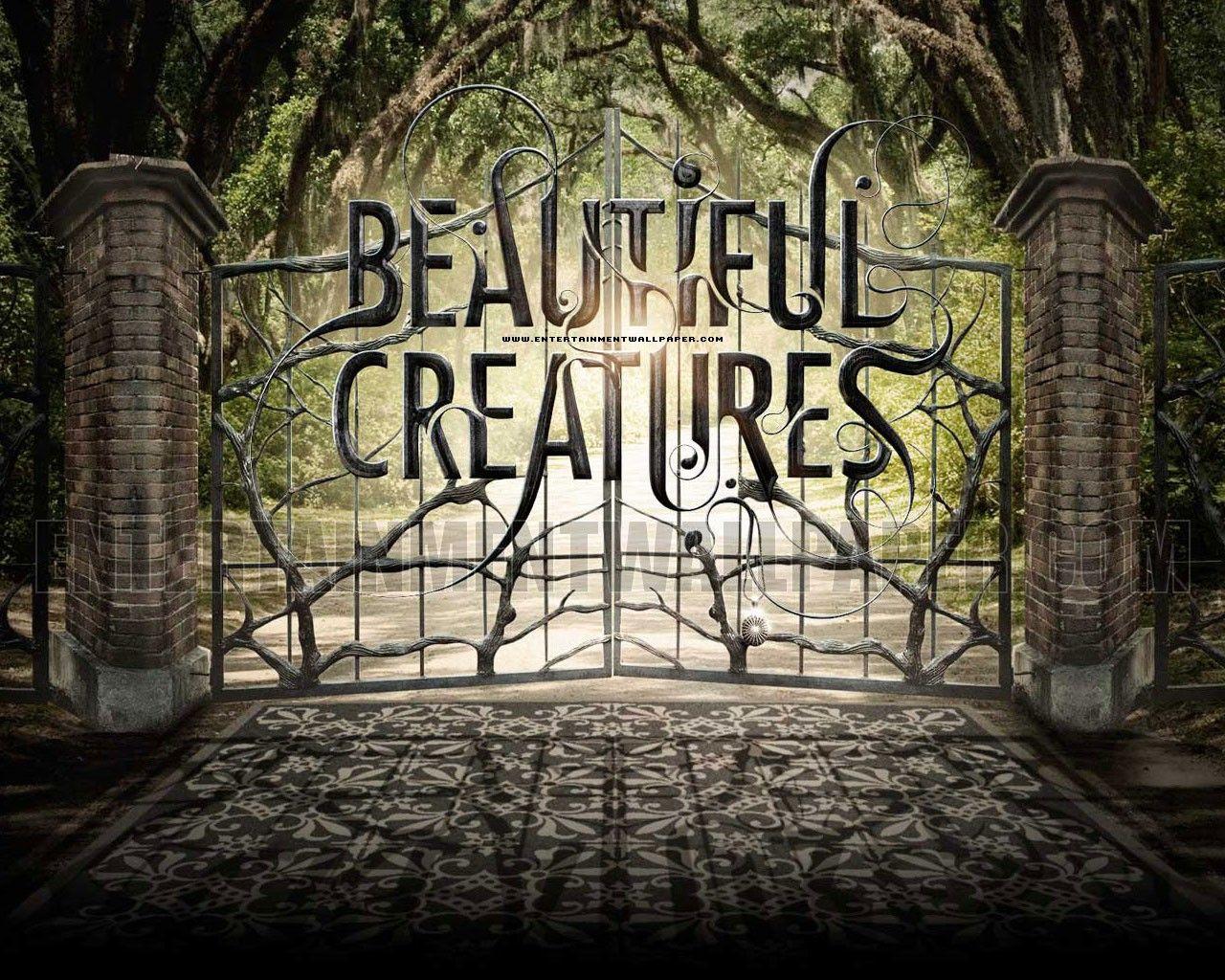 Beautiful Creatures Wallpapers - Top Free Beautiful Creatures ...