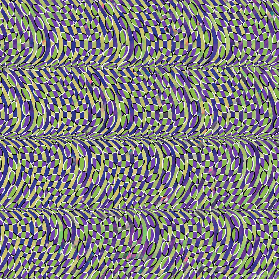 Animal Collective Wallpapers - Top Free Animal Collective Backgrounds ...