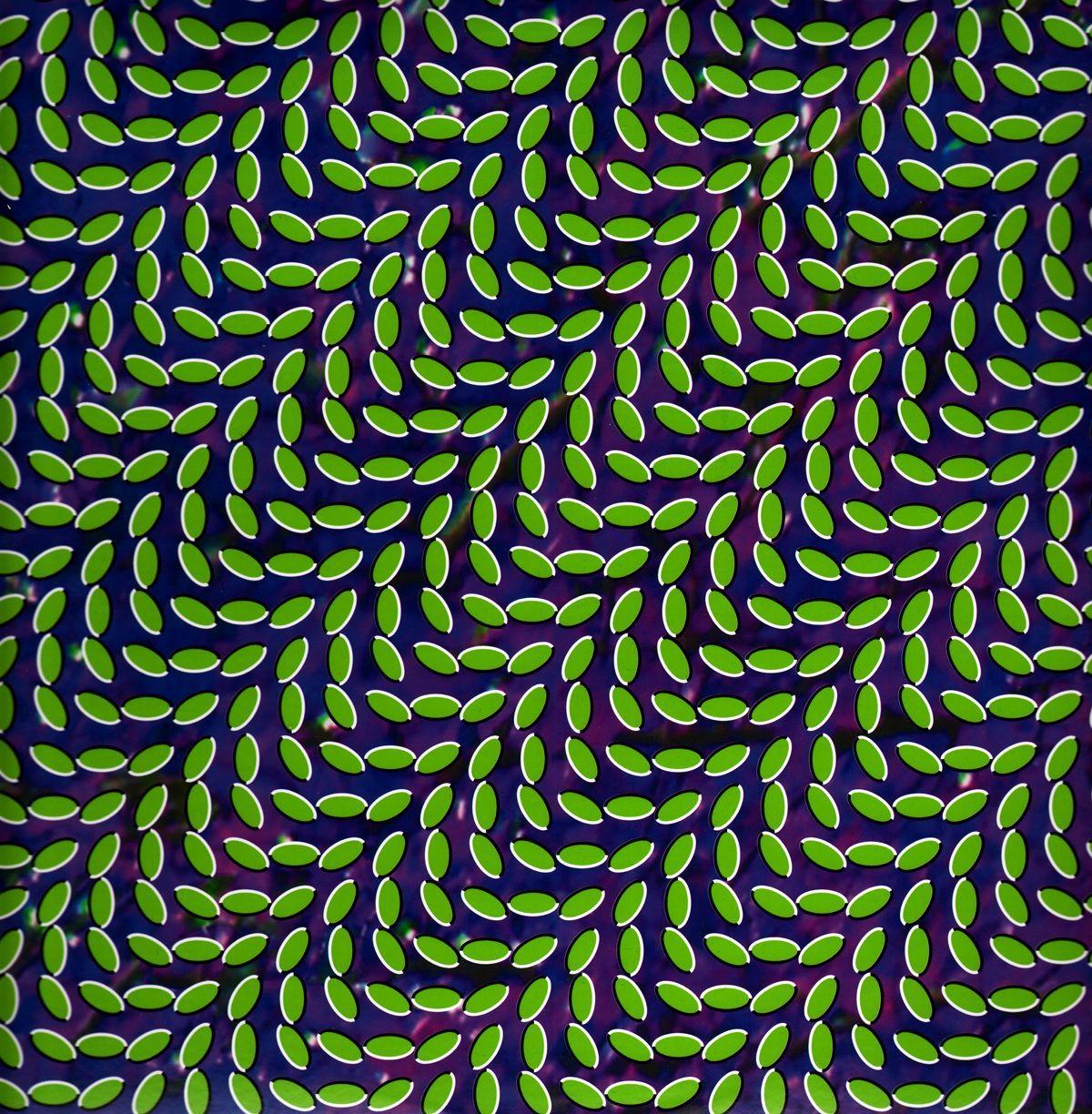 Animal Collective Wallpapers - Top Free Animal Collective Backgrounds ...